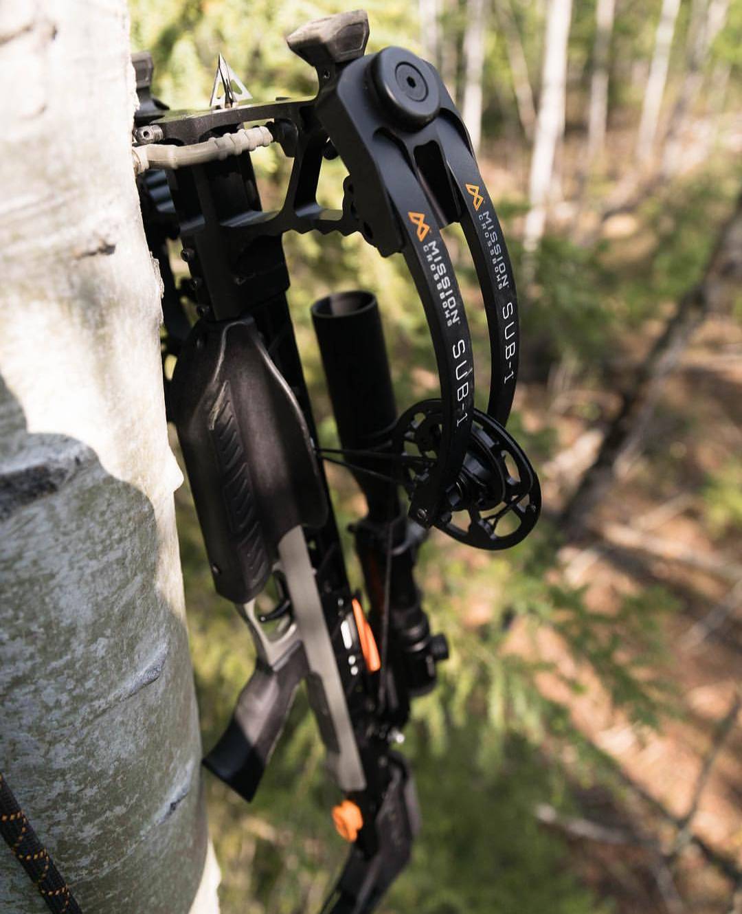 Last days of archery season. | Scrolller