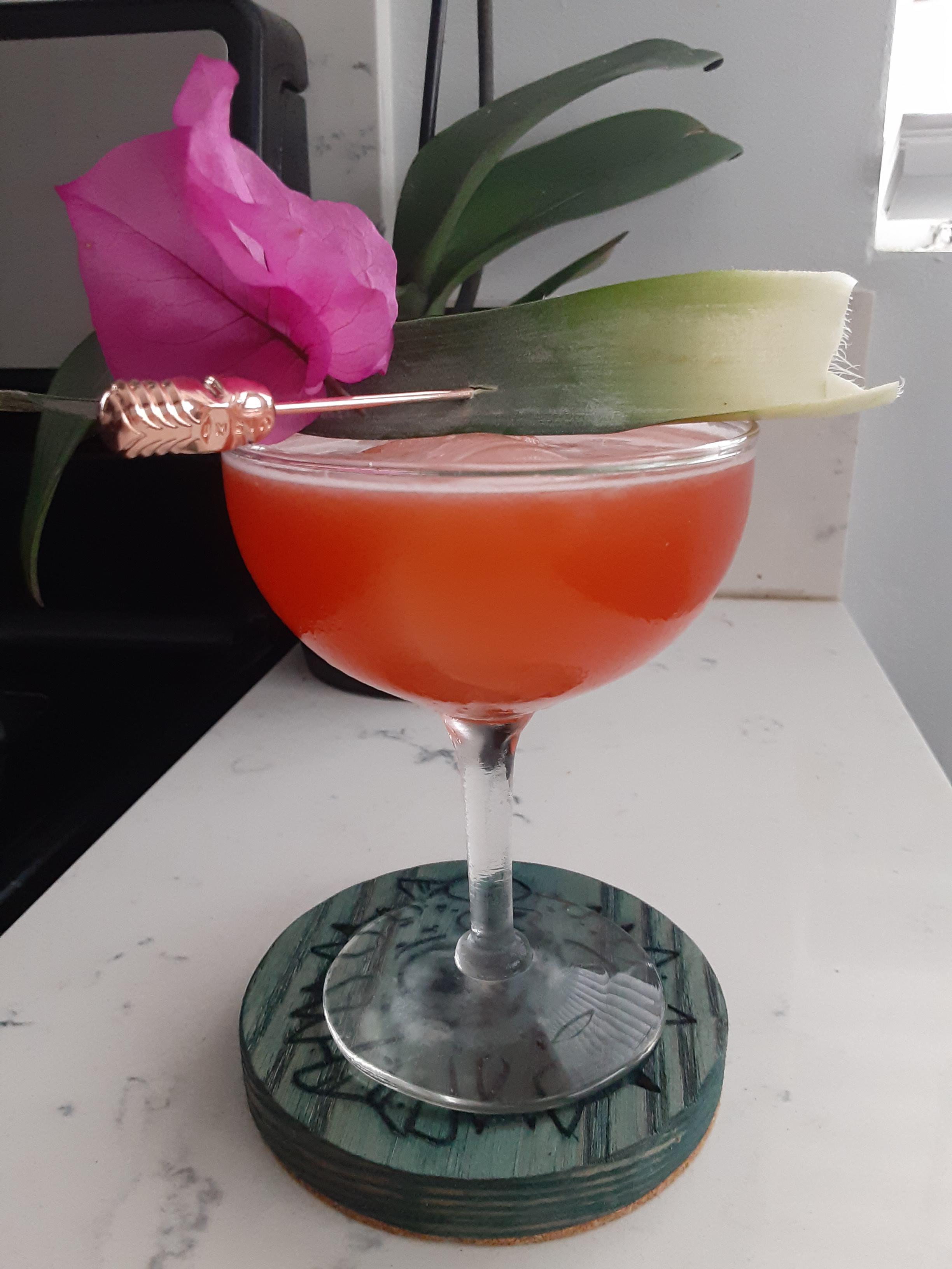 Last Night's Quarantiki: the Jungle Bird! | Scrolller