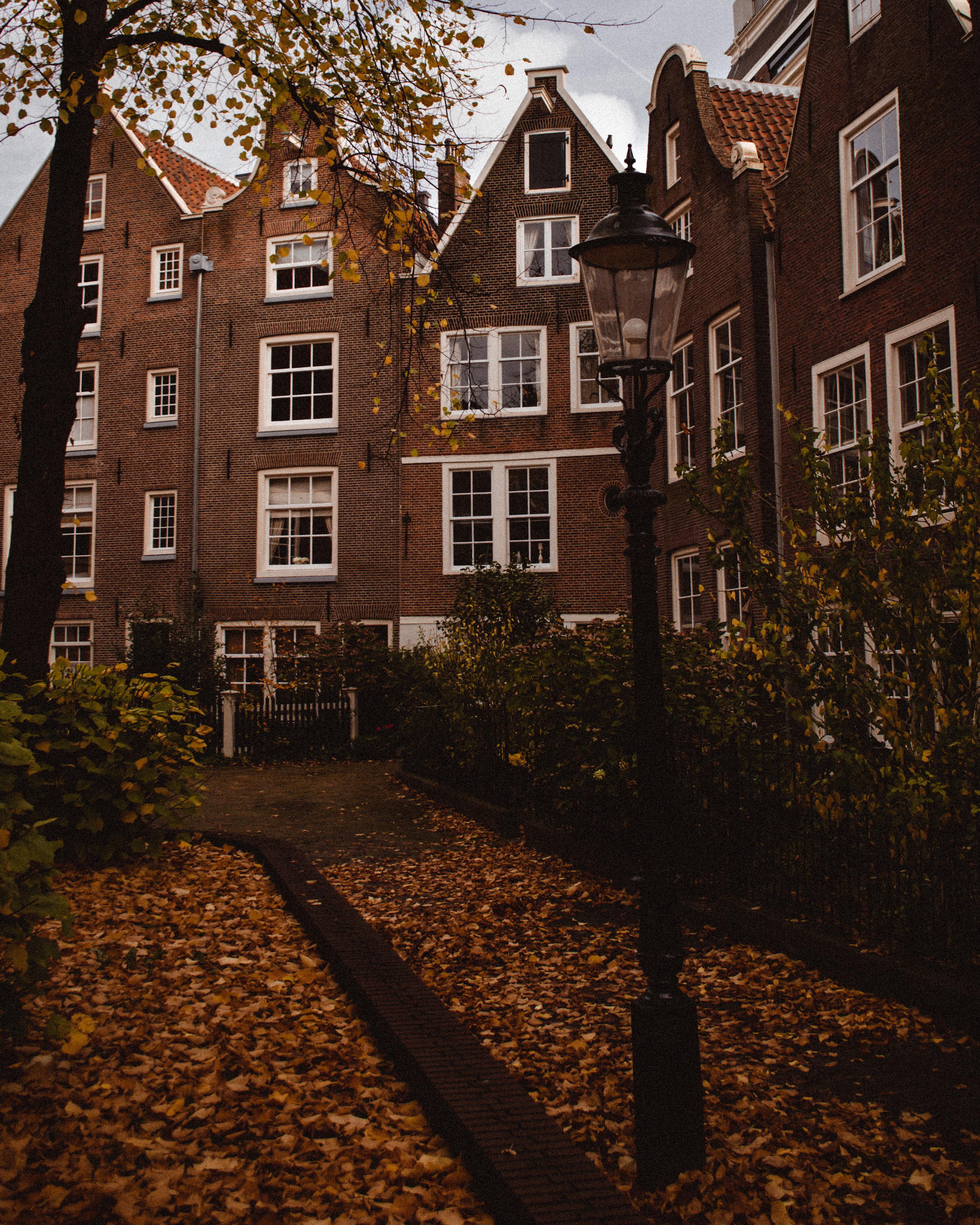 Last October in Amsterdam | Scrolller