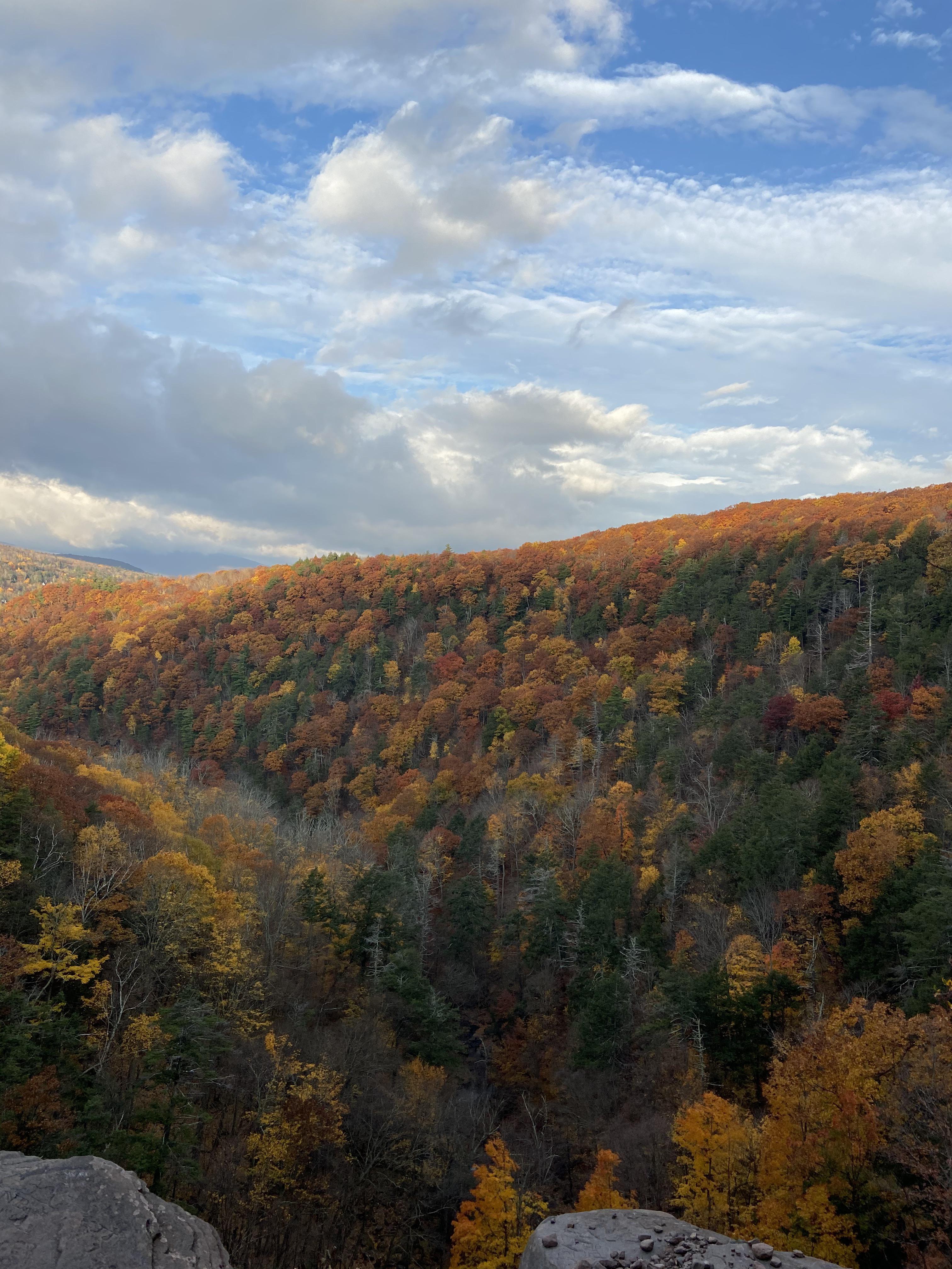 Late October fall foliage in the Catskills, NY | Scrolller