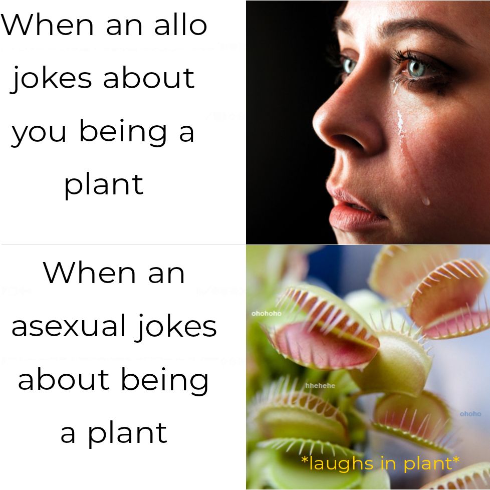 Laughs in plant | Scrolller
