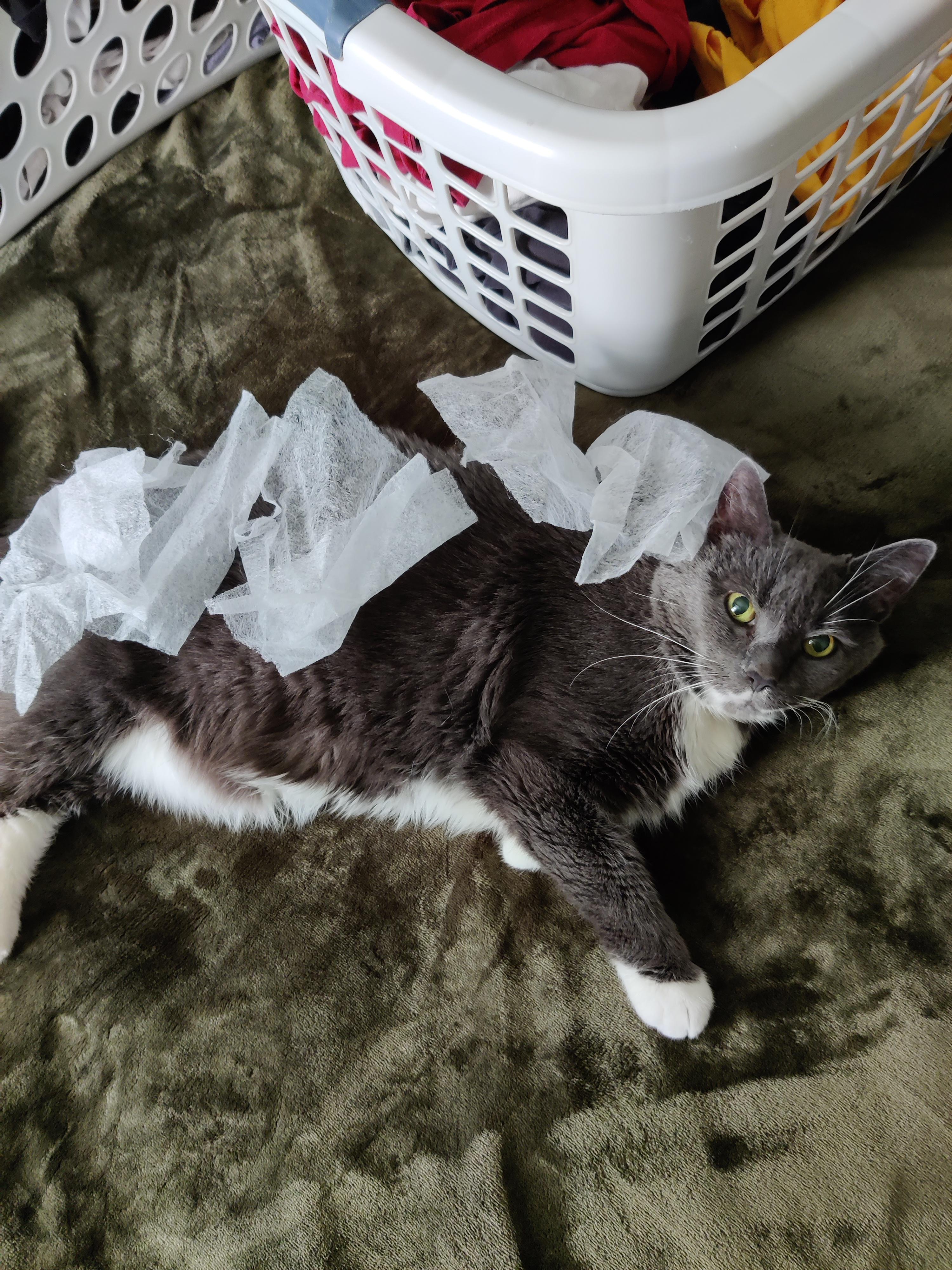 Laundry day | Scrolller