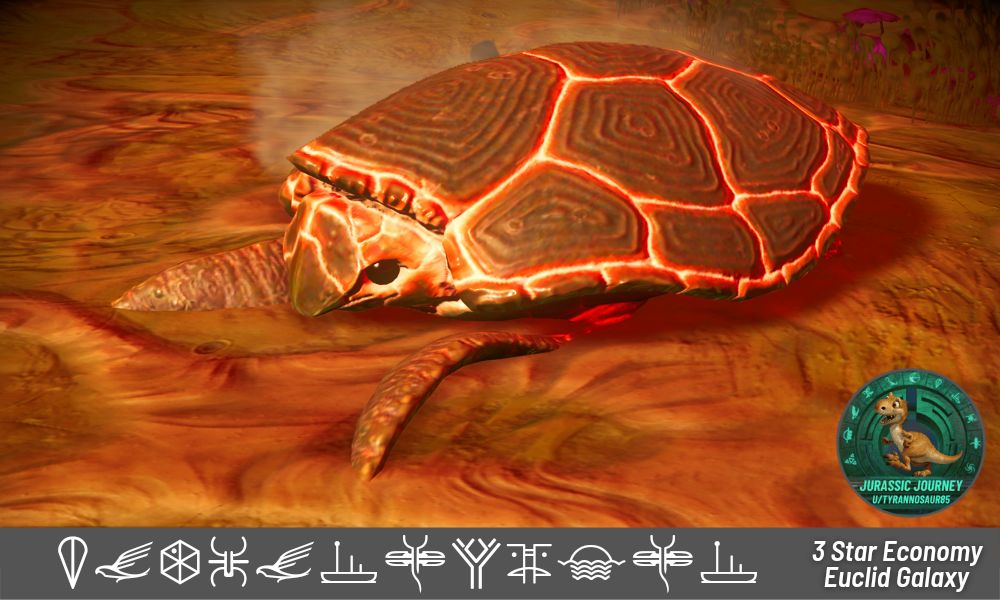 Lava Turtle | Scrolller