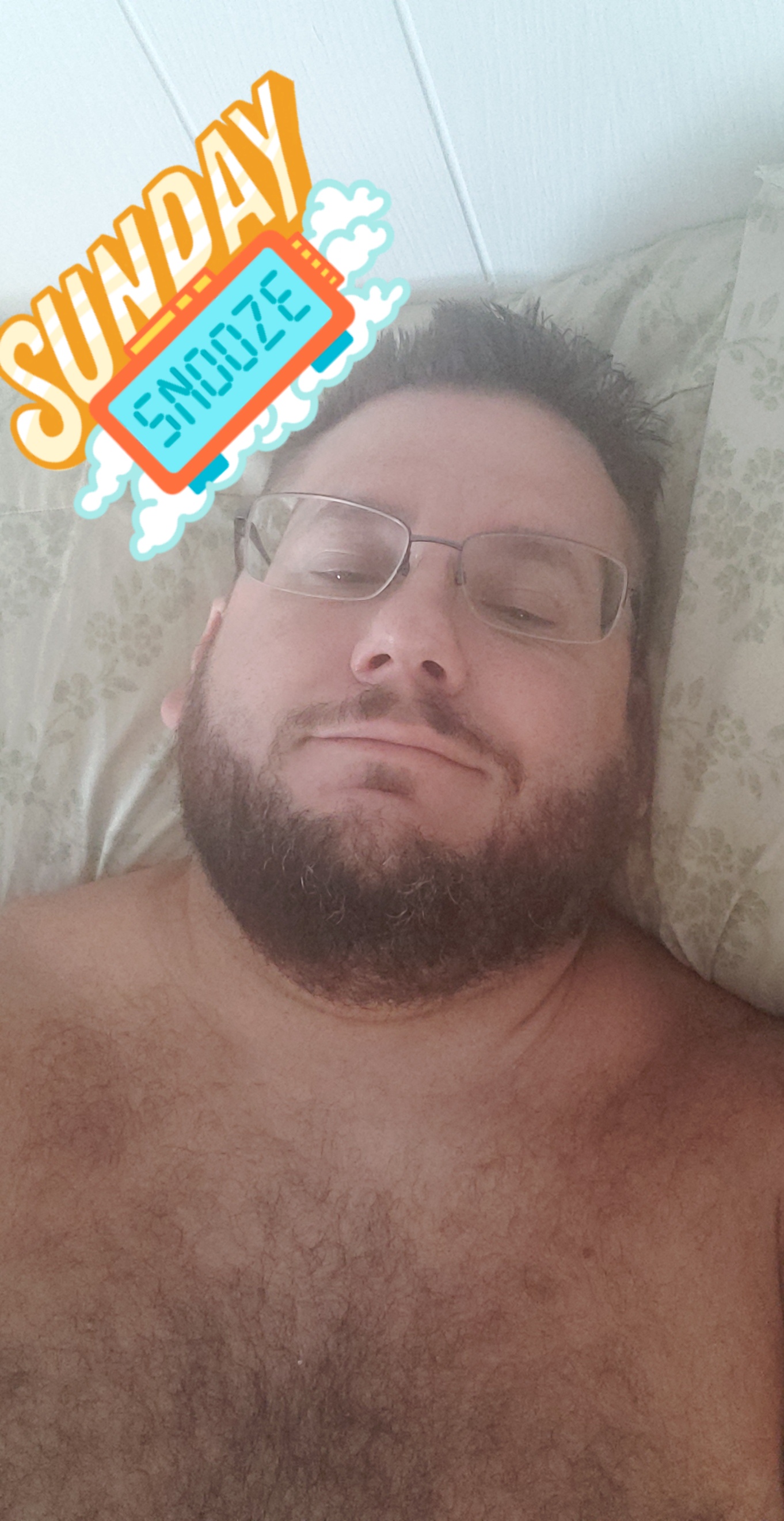 Lazy Papa Bear | Scrolller