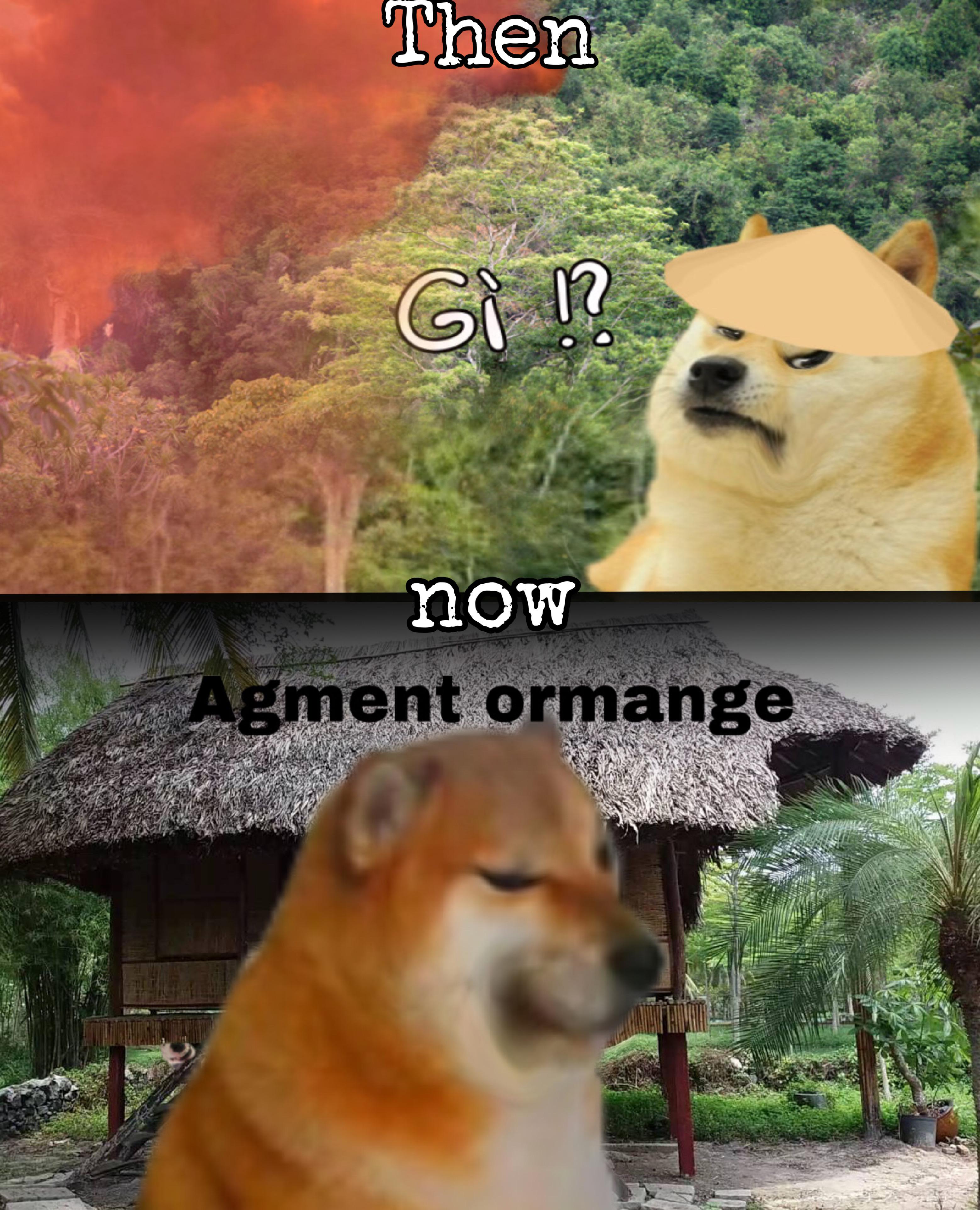 le funy gas haha | Scrolller