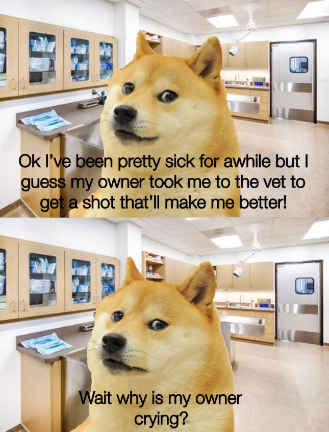 Le “Goodbye, buddy” has arrived... | Scrolller