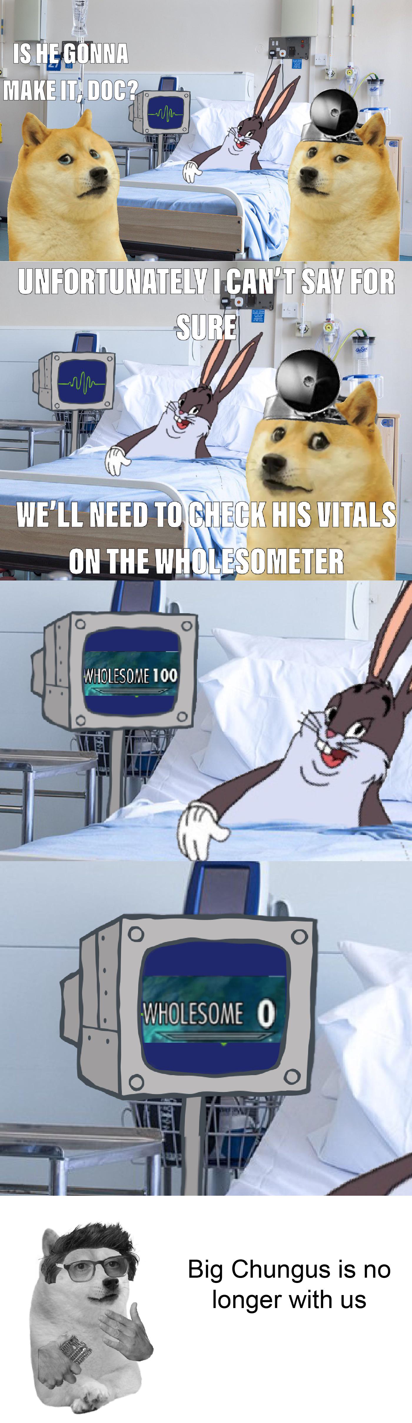 Le Peak Comedy has Arrived | Scrolller