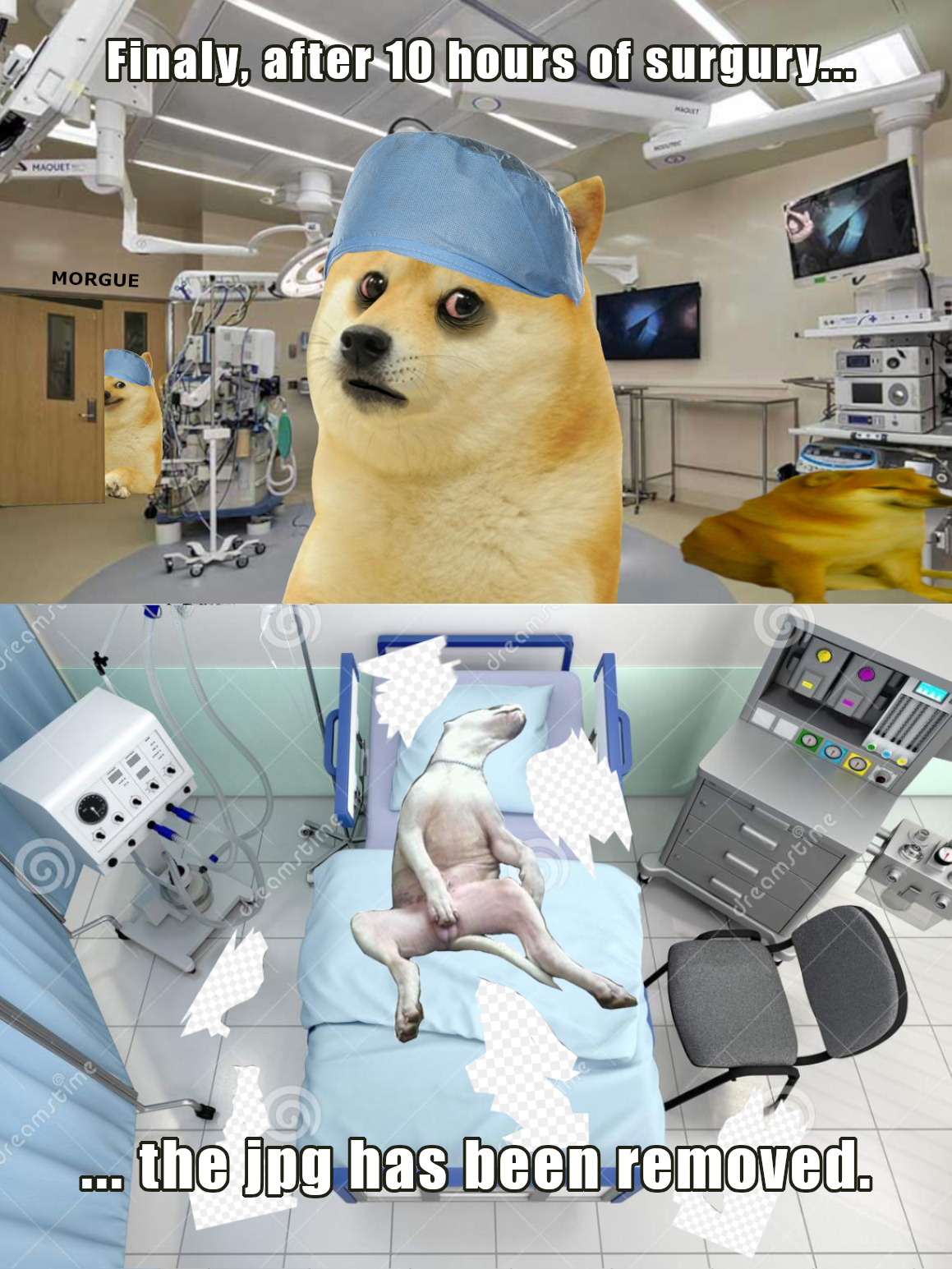 Le successful operation has arrived | Scrolller