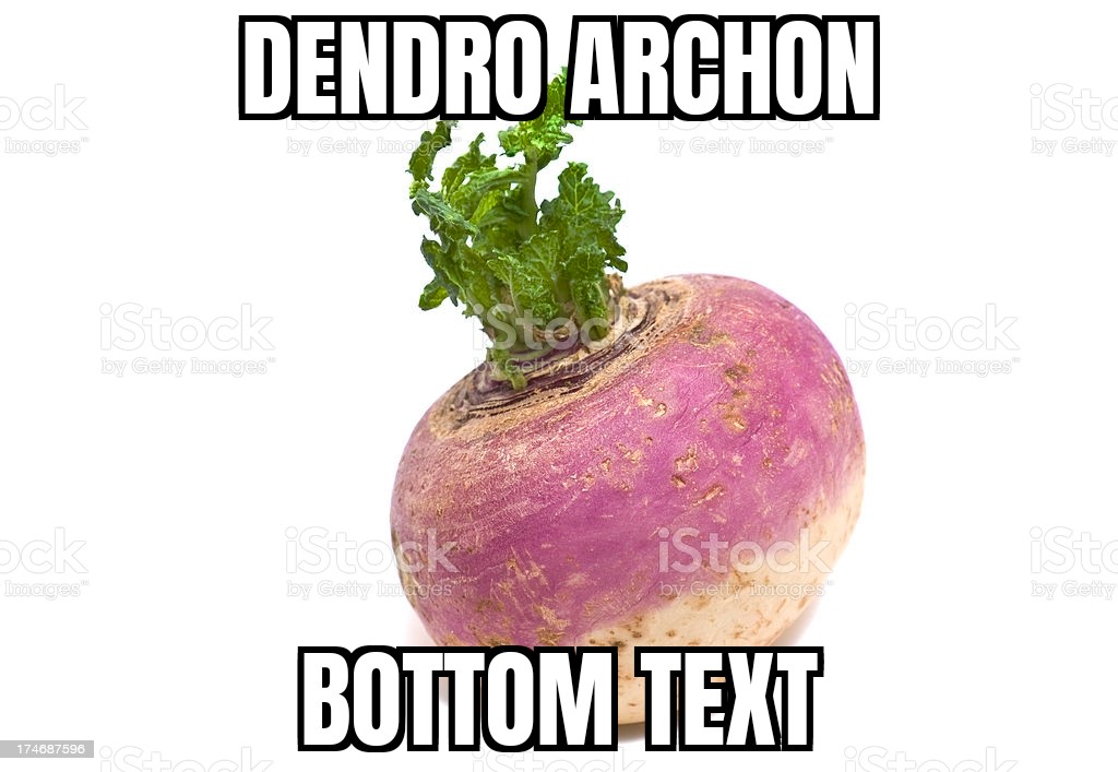 (LEAKS) DENDRO ARCHON LEAKED | Scrolller