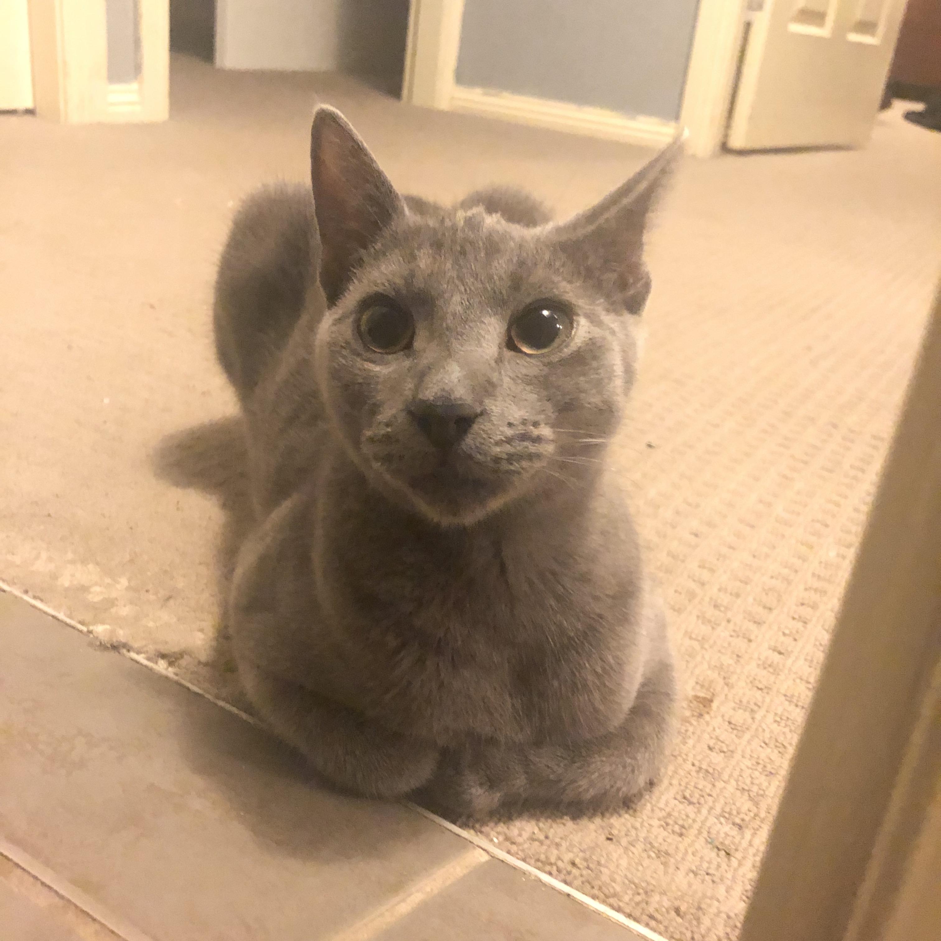 Lean loaf | Scrolller