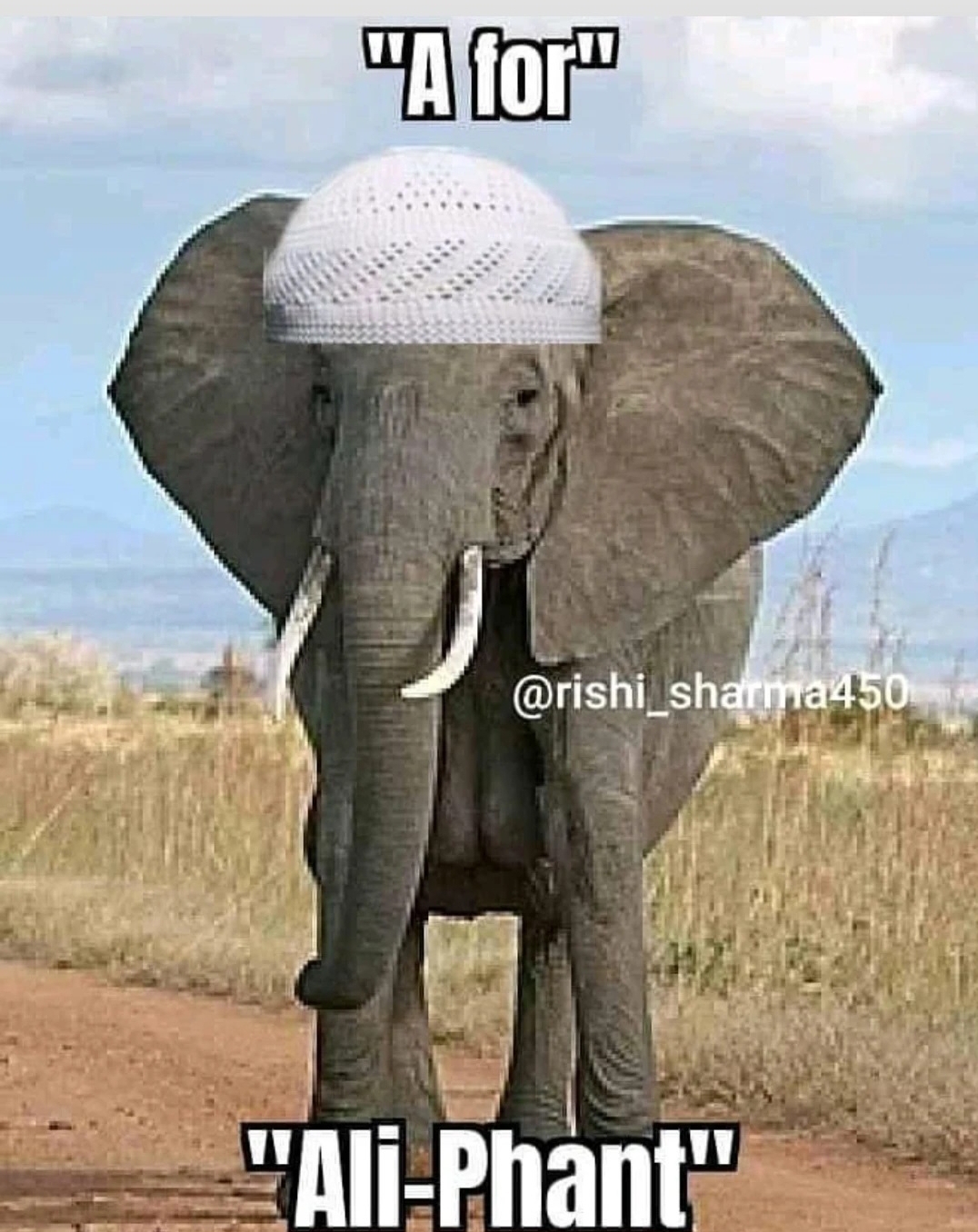 Learn alphabets guys | Scrolller