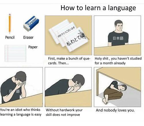 Learning a language be like | Scrolller