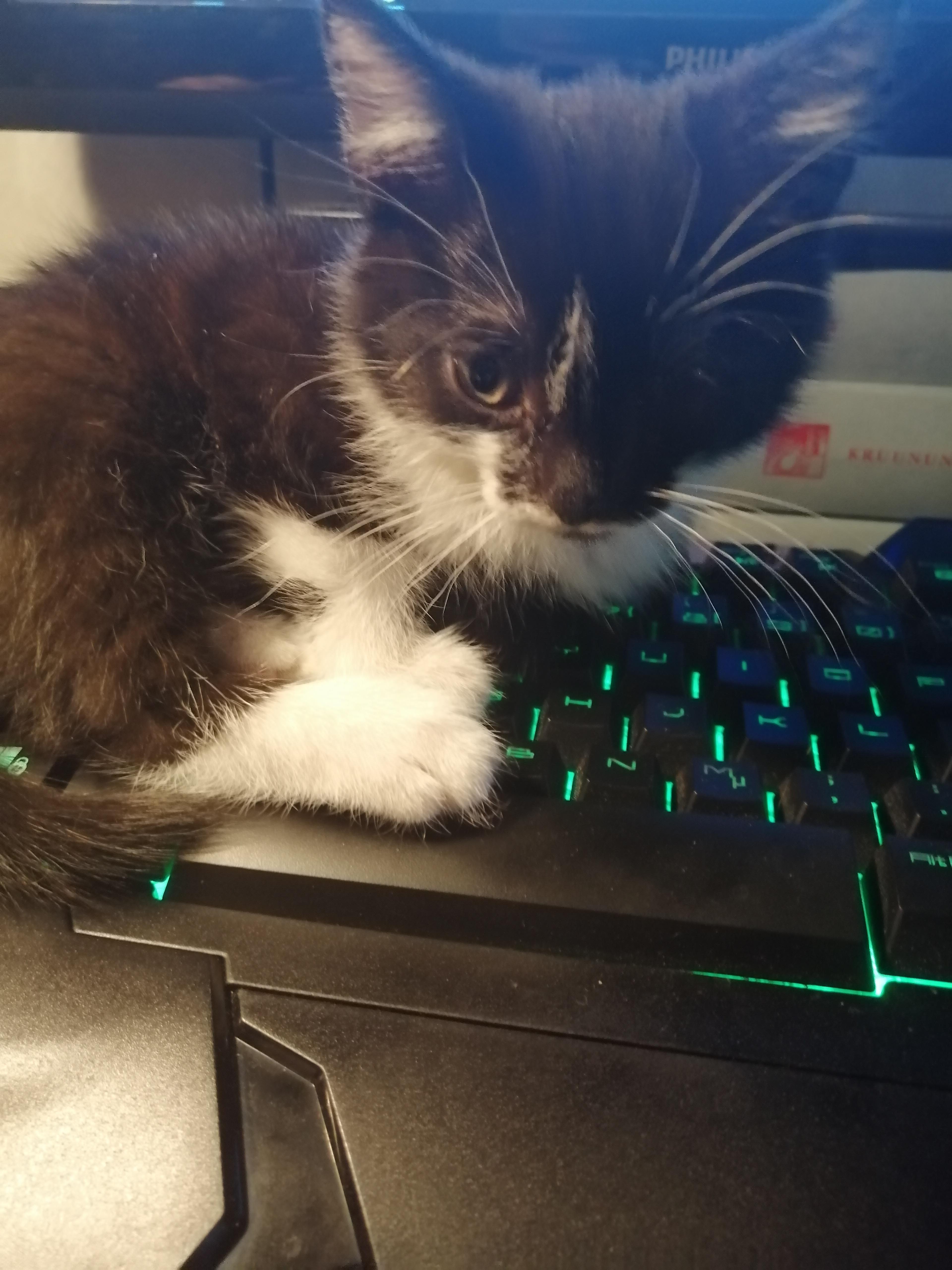 Learning At An Early Age Scrolller