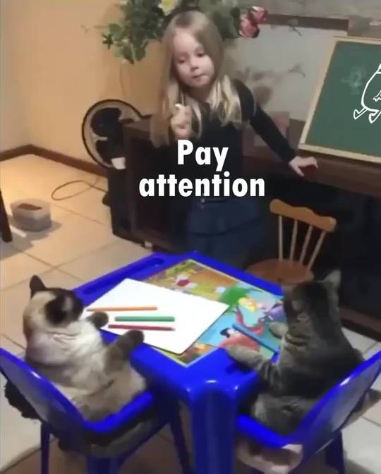 Learning New Art | Scrolller