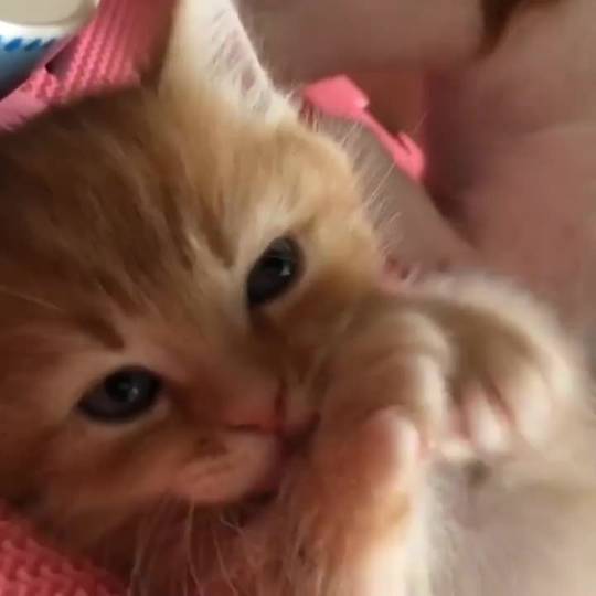 Learning To Bath Scrolller