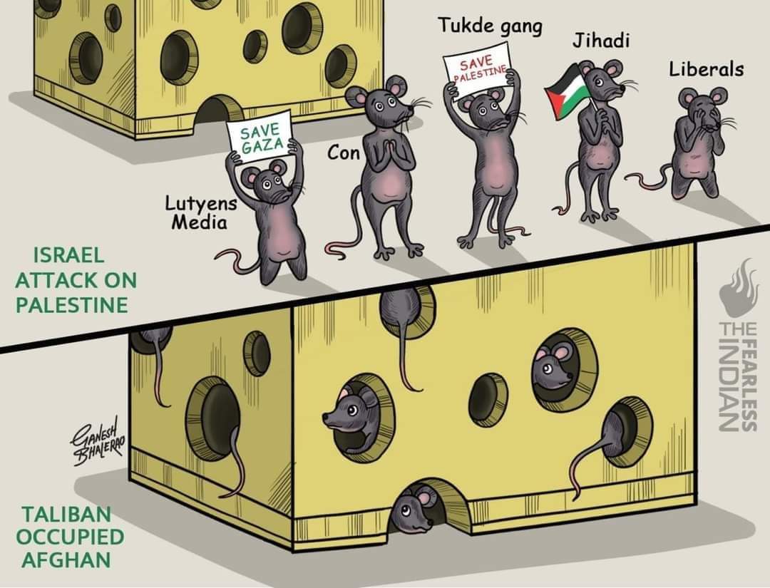 Left-wing | Scrolller