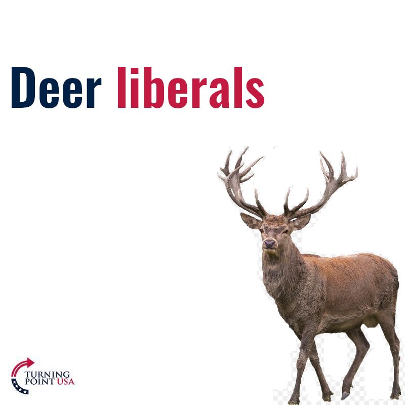 left-wing destroyed with antlers and hooves | Scrolller
