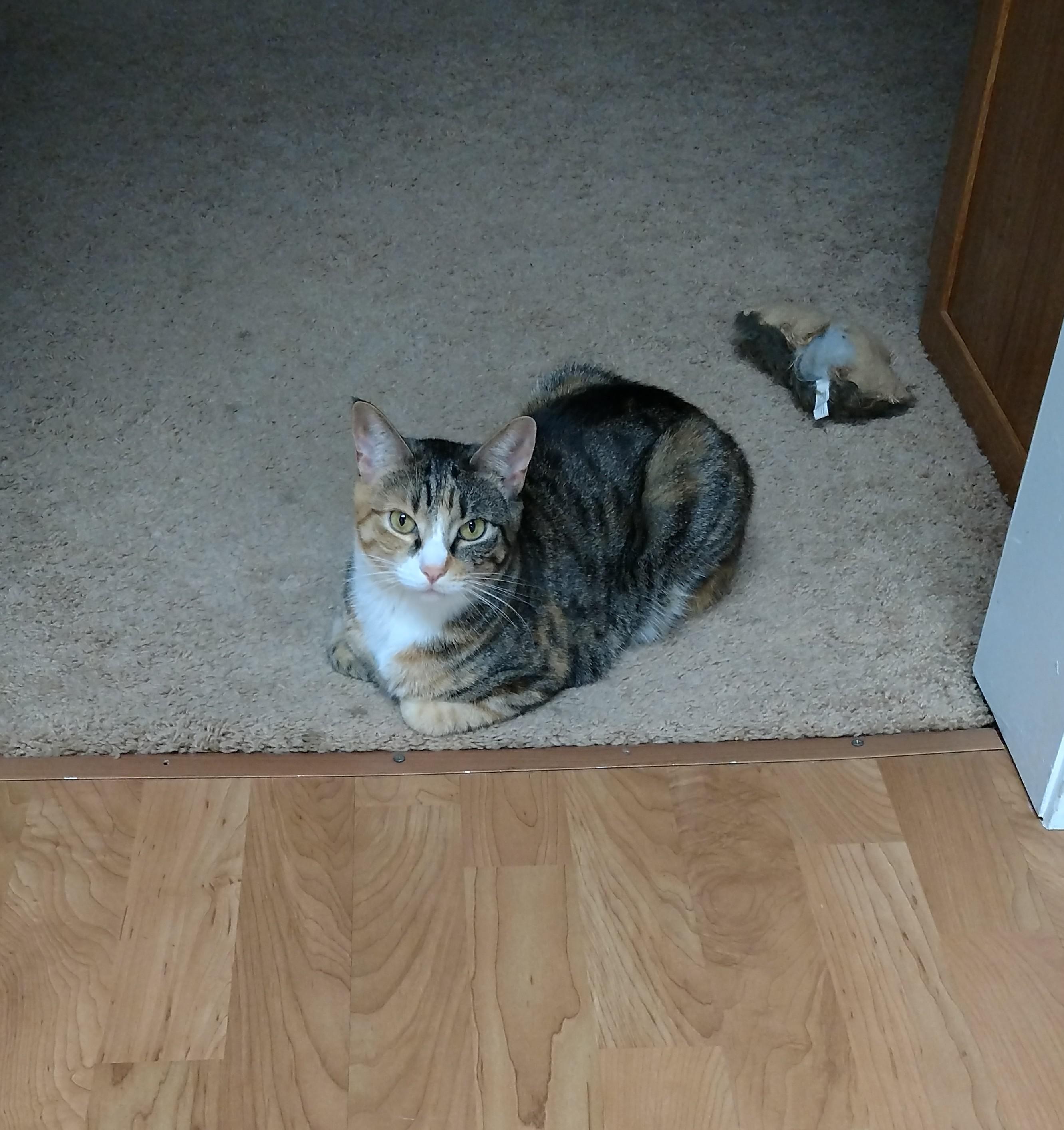 Leia Loaf | Scrolller