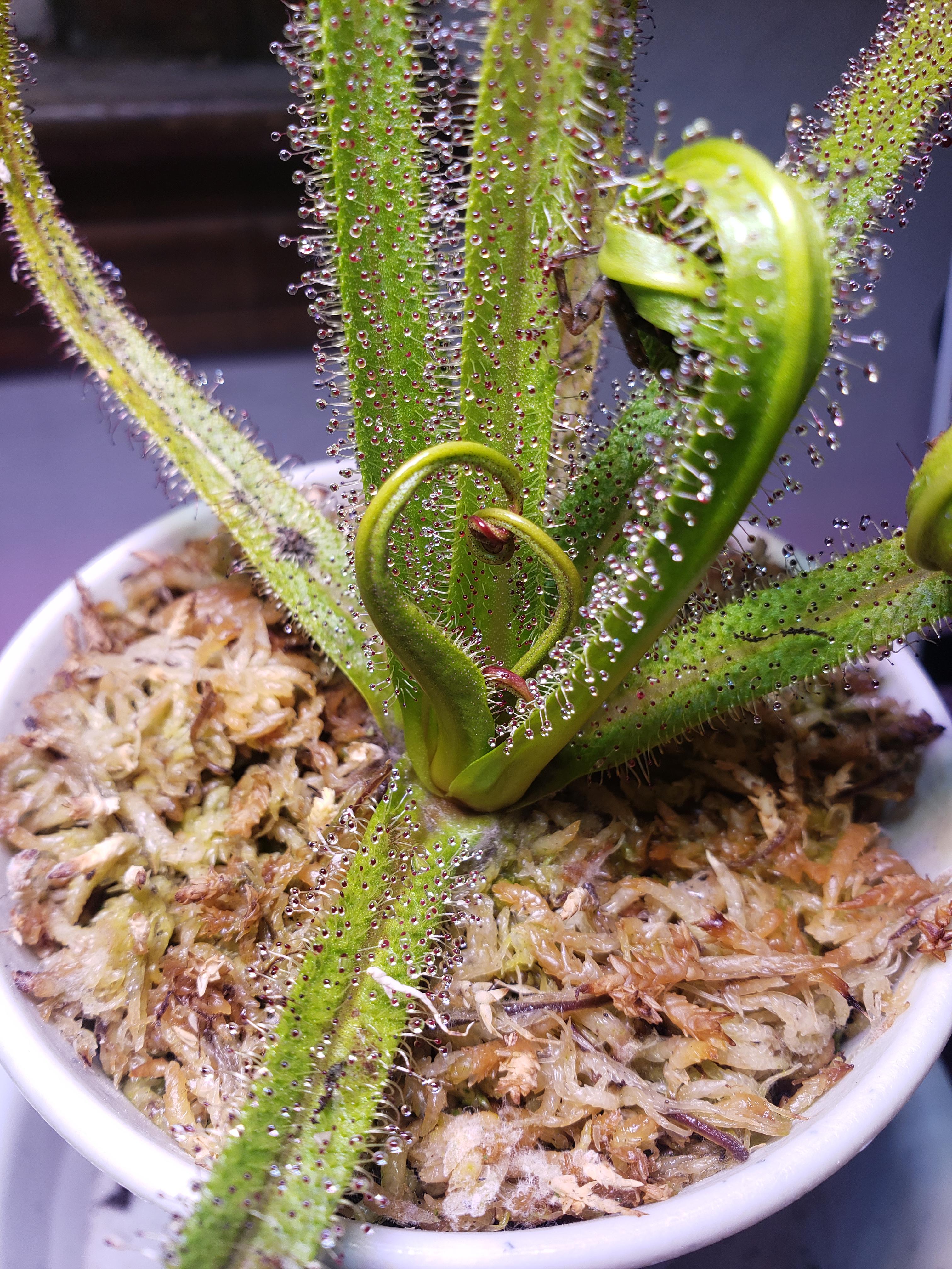 Lending a helping hand | Scrolller