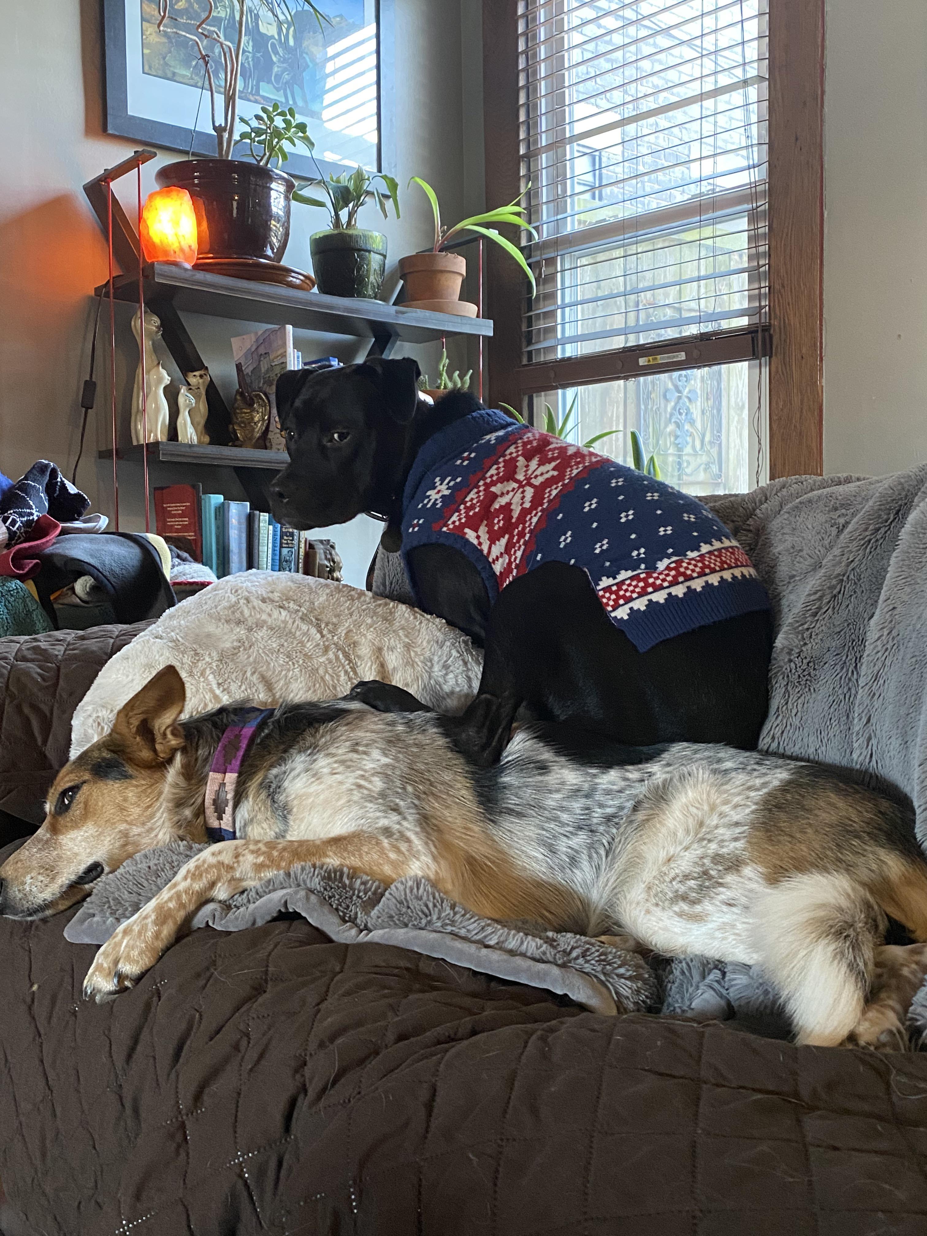 Leon and Penelope | Scrolller