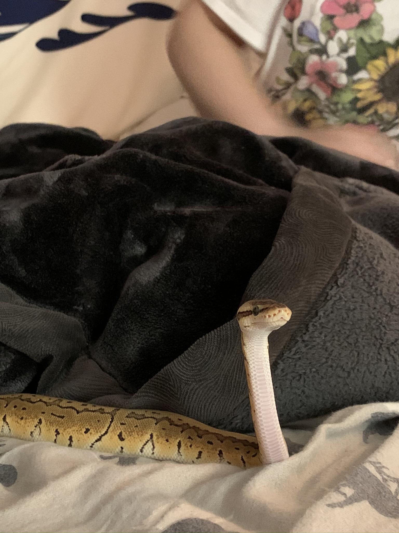 Leonard doing his first scope | Scrolller