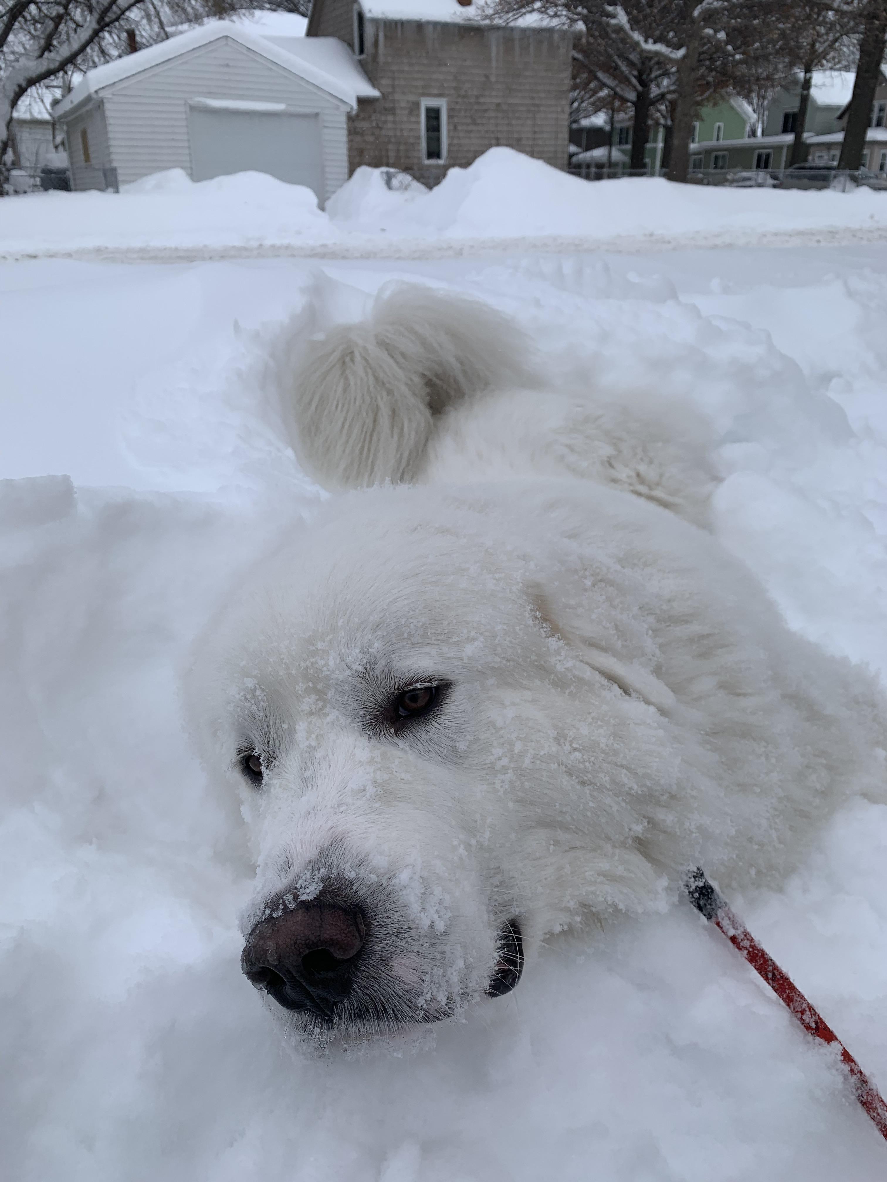 Lesson 1: As walk reaches halfway point, pyr must “become an anchor” | Scrolller