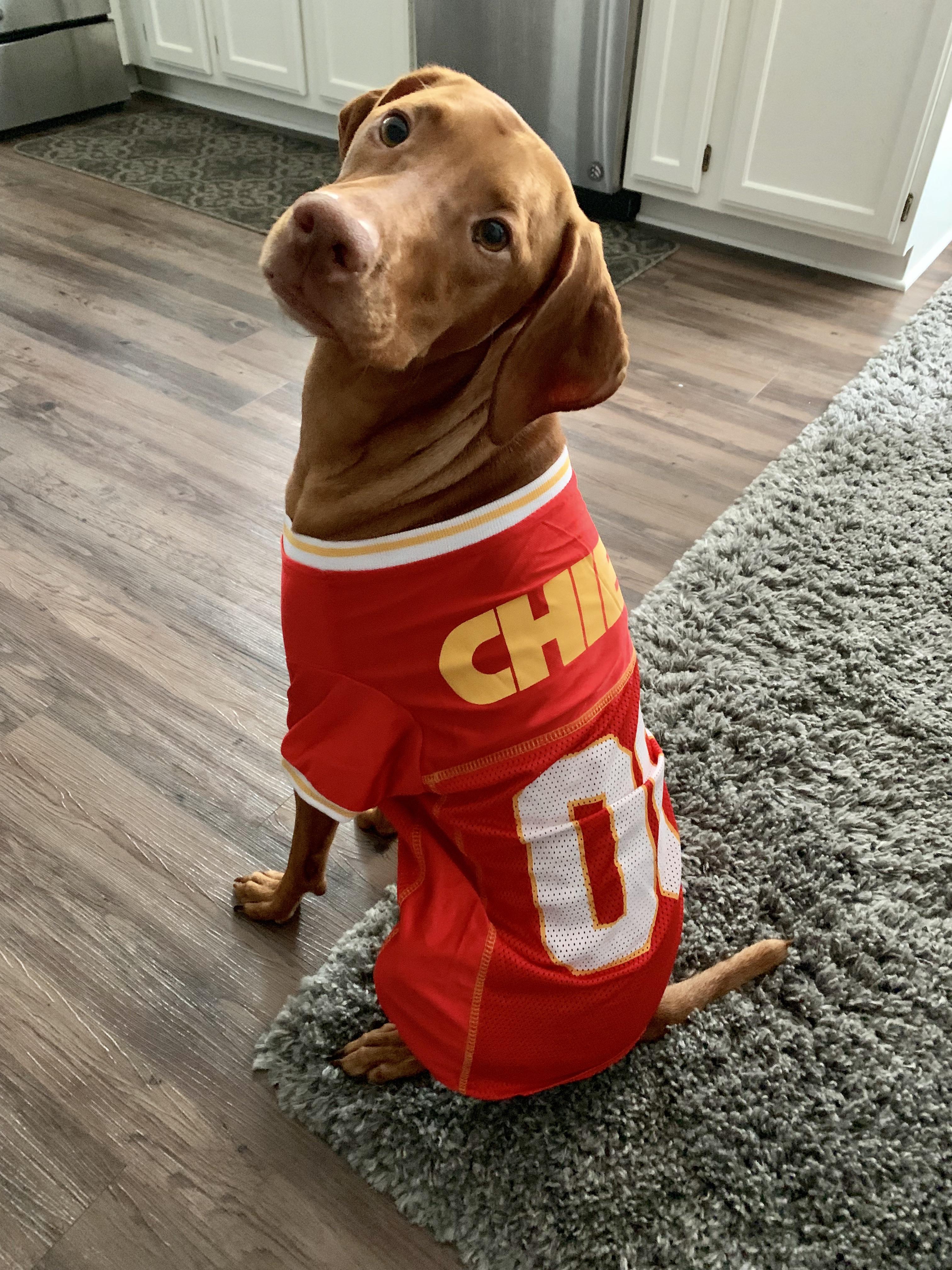 Let’s go CHIEFSSSSS!!! | Scrolller