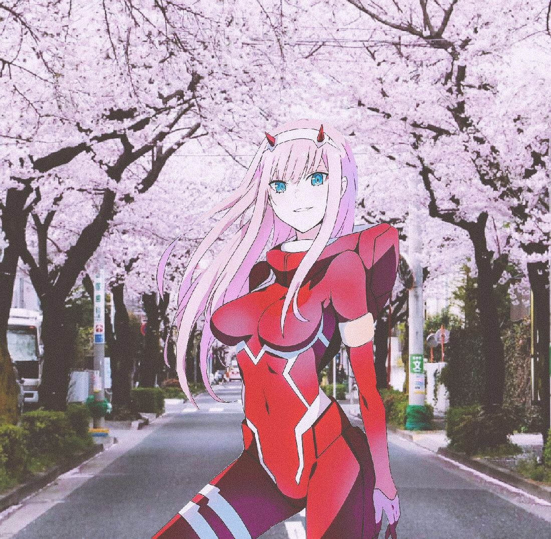 Let’s go Darling! | Scrolller