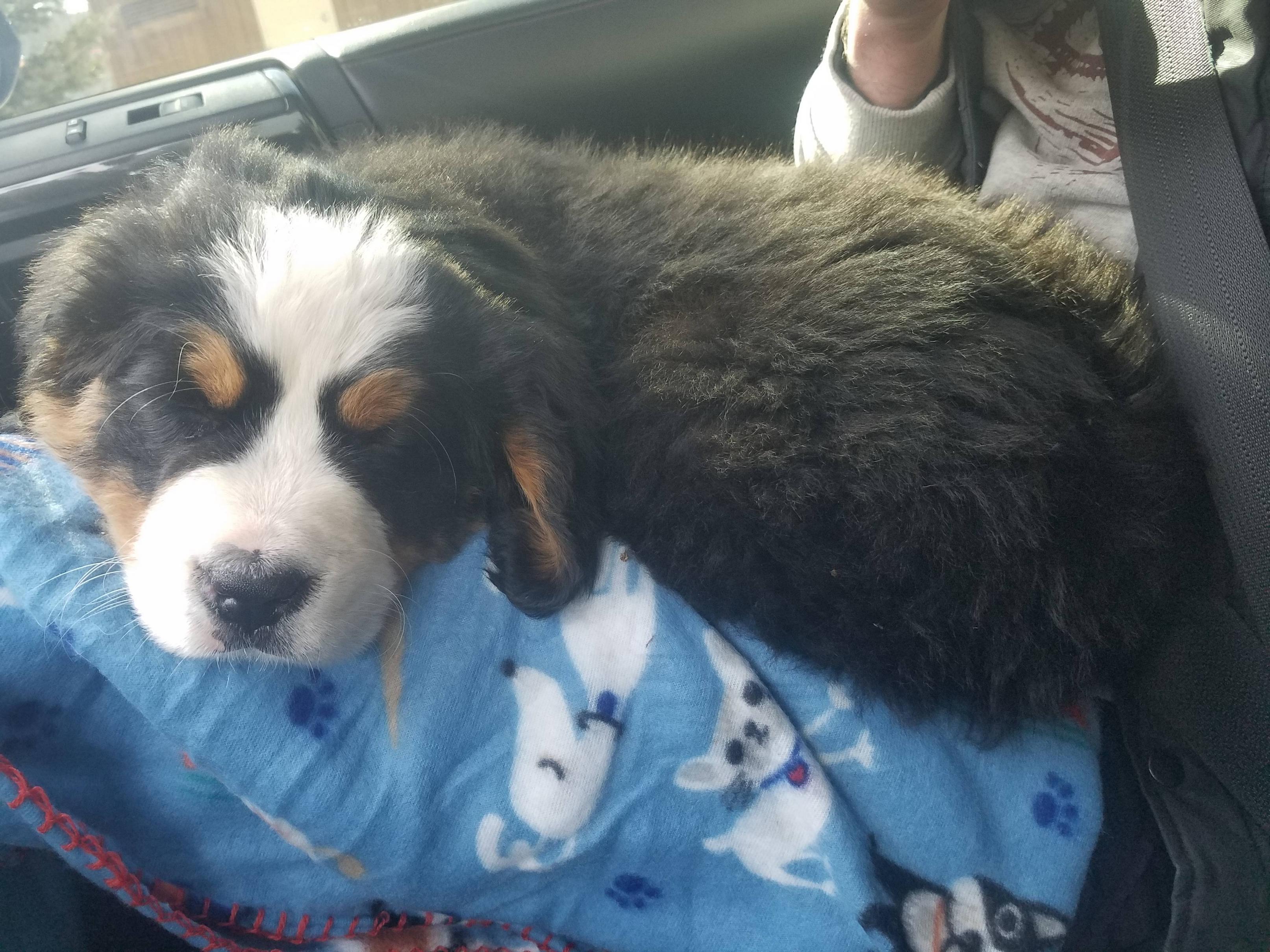 Let the adventure begin! | Scrolller