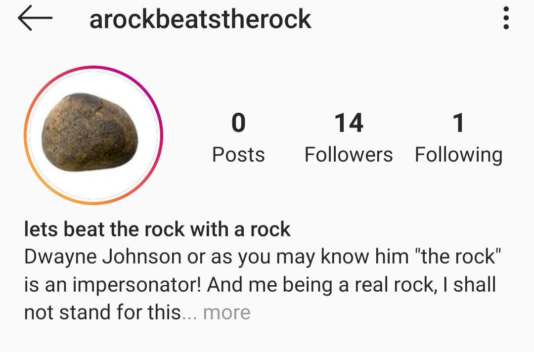 Let's beat the rock in followers with an actual rock! | Scrolller