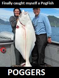 Let's Go Poggers | Scrolller