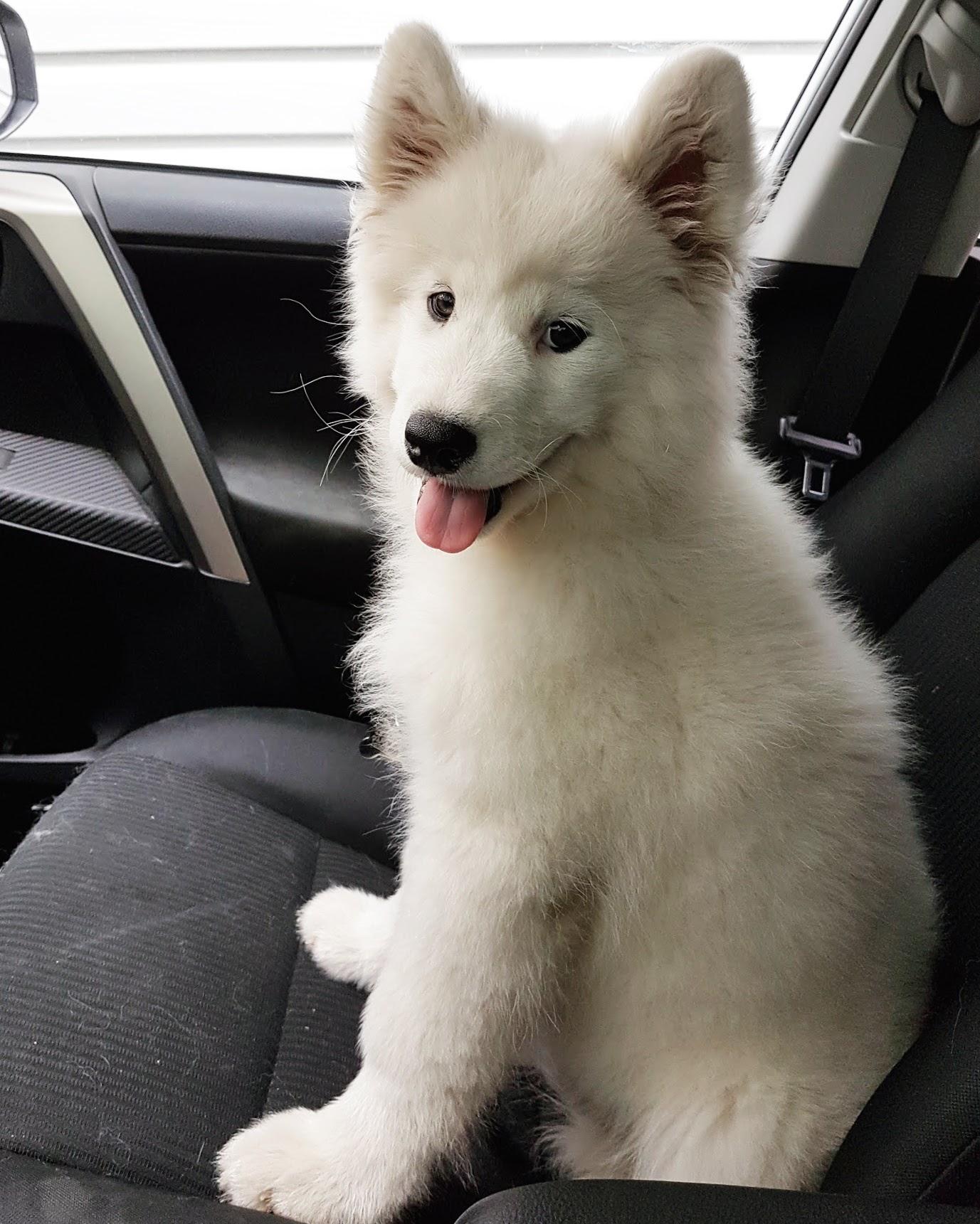 Let's go somewhere! | Scrolller