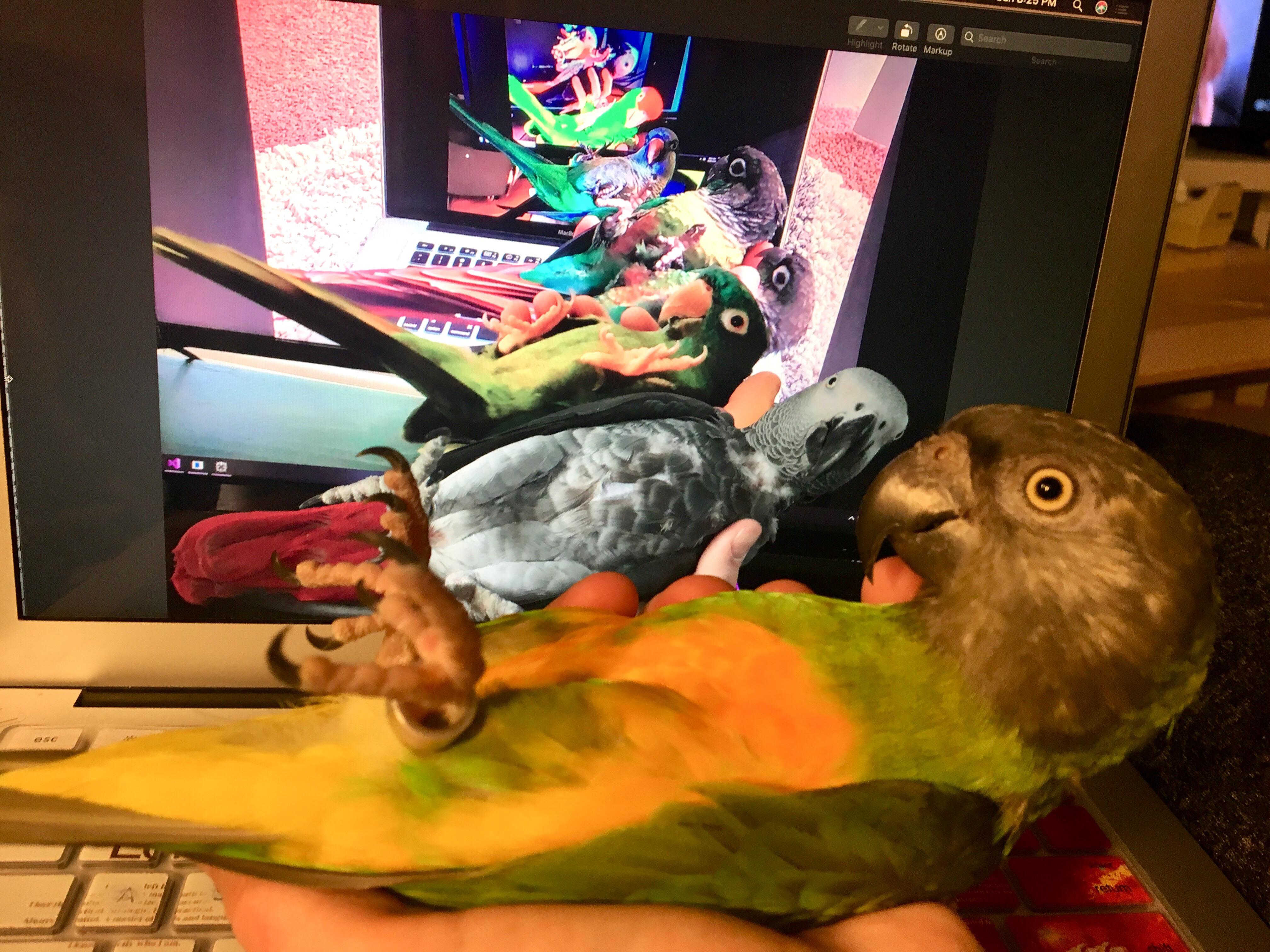 let's keep it going! | Scrolller