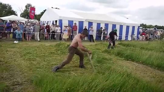 Level 100 Farmer (X-Post r/gifs) | Scrolller