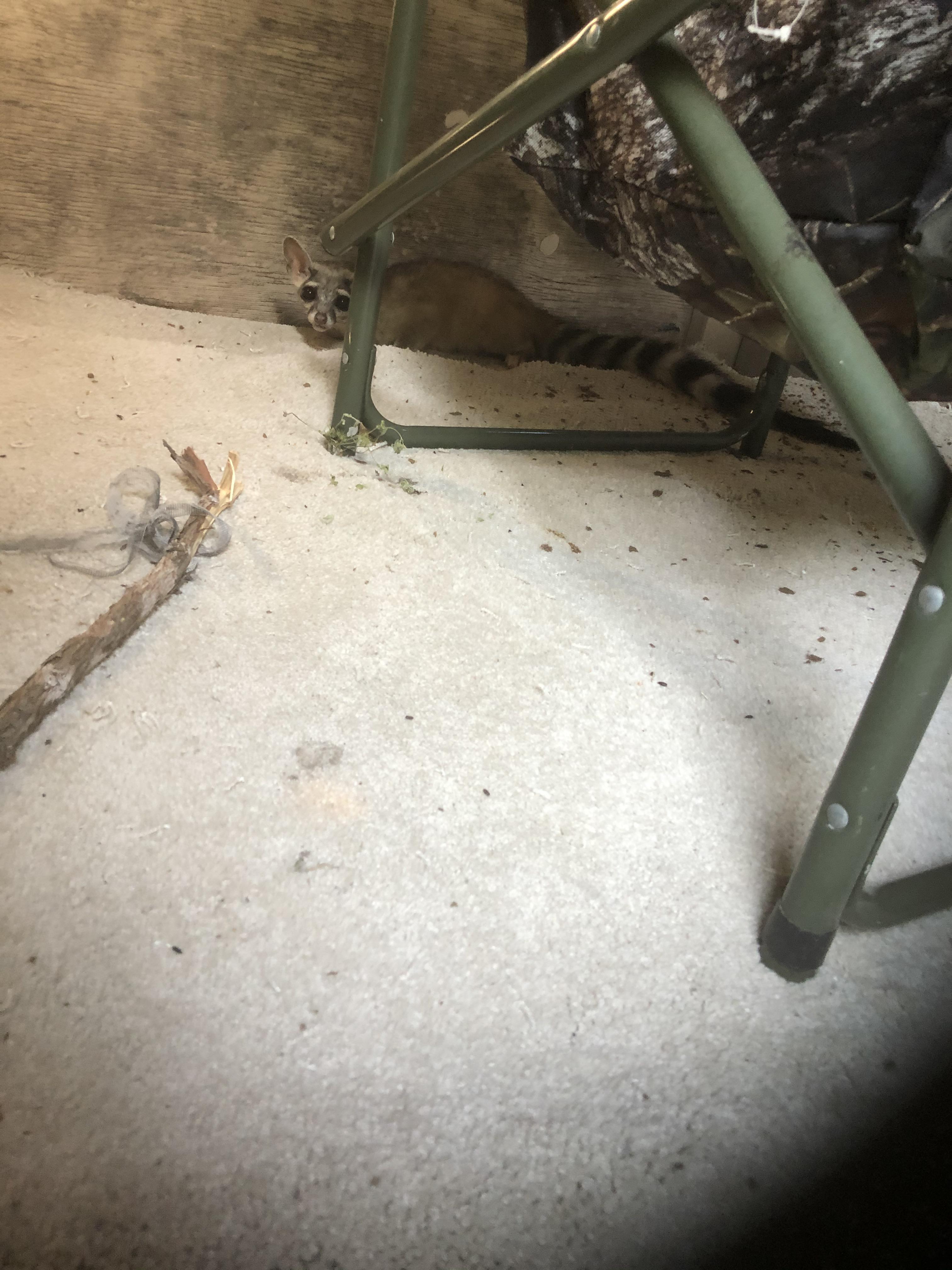 Level 16 player and I went hunting to find a rare mob hiding in my ...