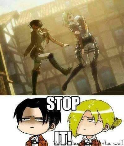 Levi Senpai what are u doing | Scrolller