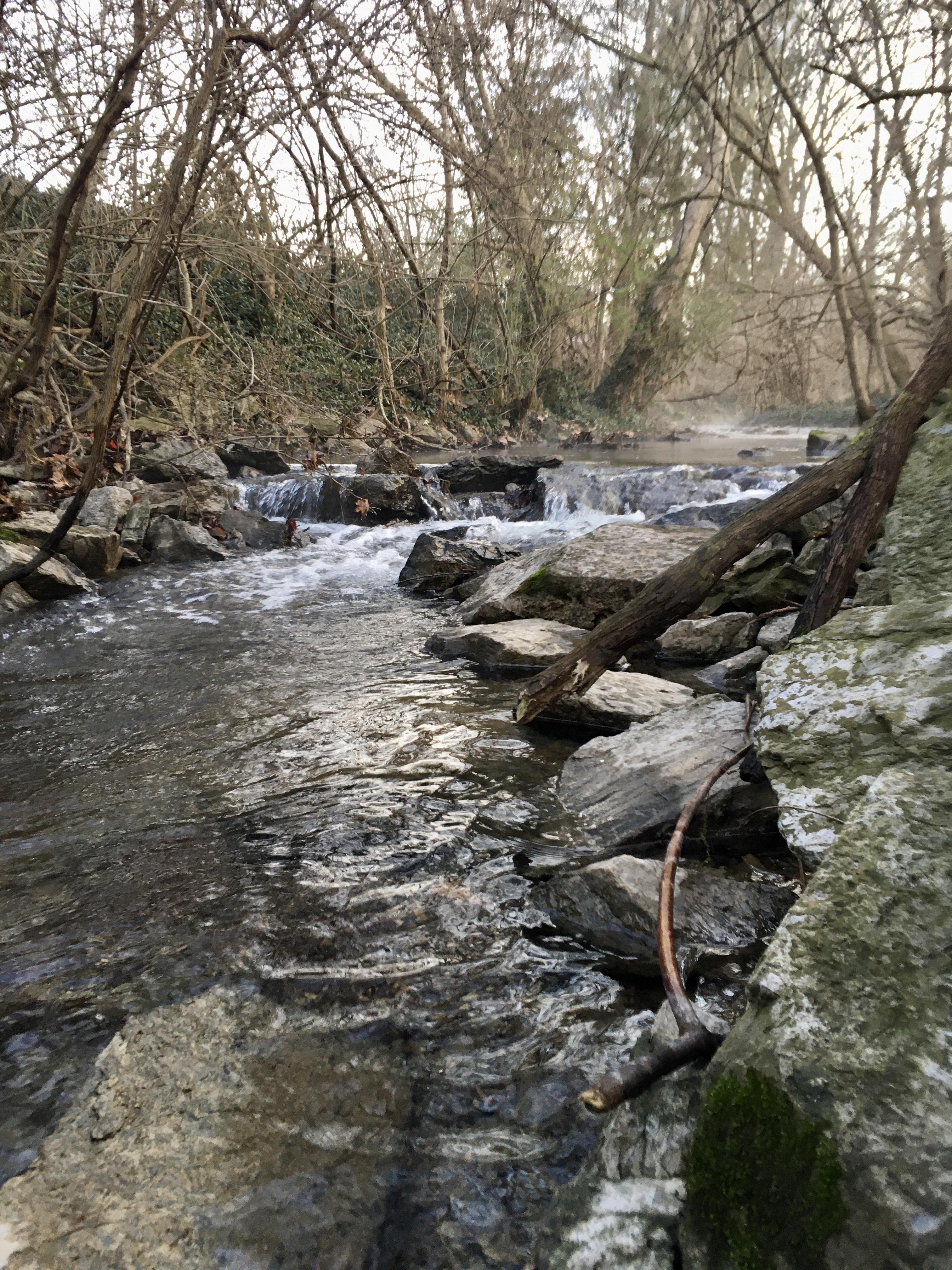 Lexington Wilderness. Stonewall Park | Scrolller