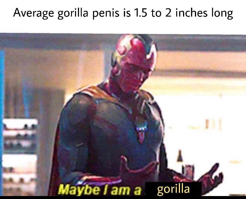 Libtards explain | Scrolller