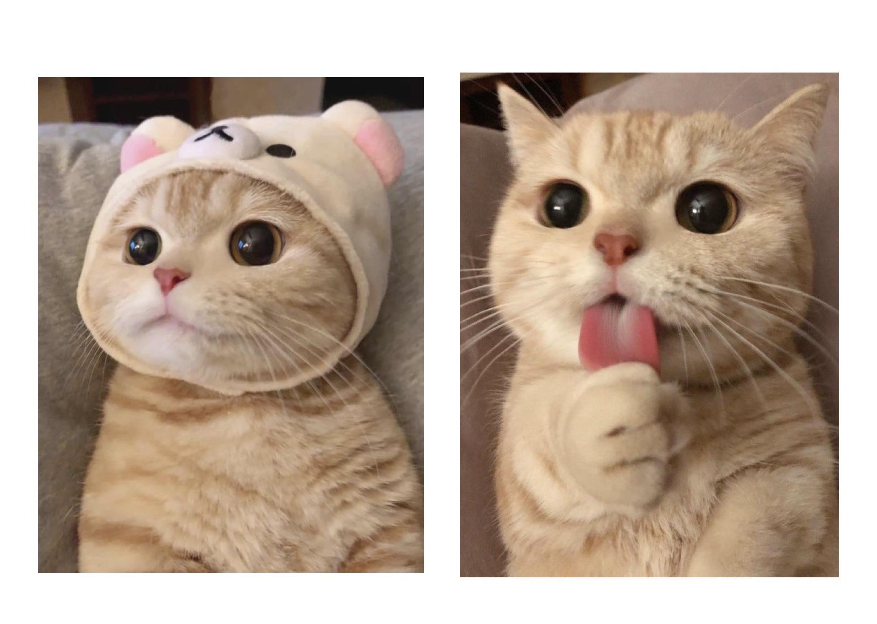 Lick lick | Scrolller