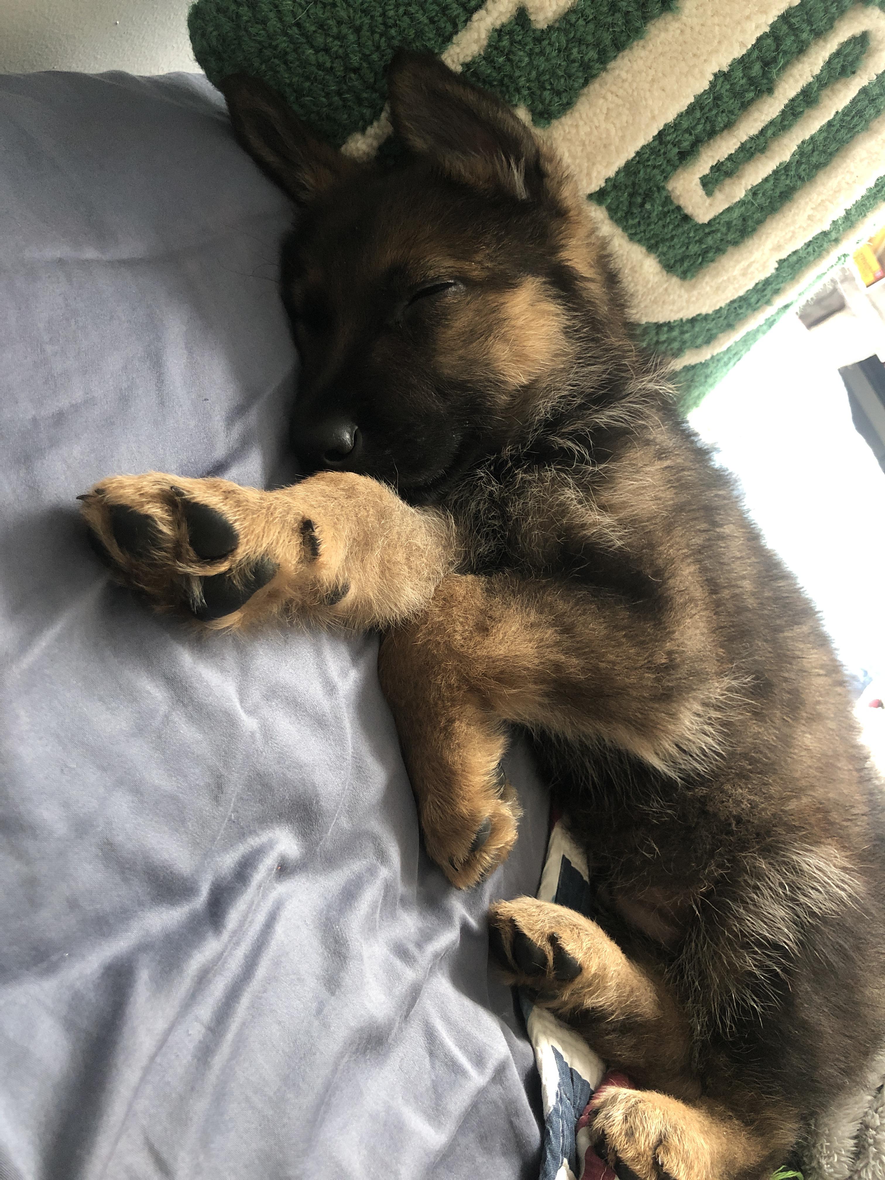 Life changed forever. | Scrolller