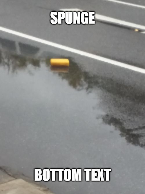 Life is like a sponge in a puddle. | Scrolller