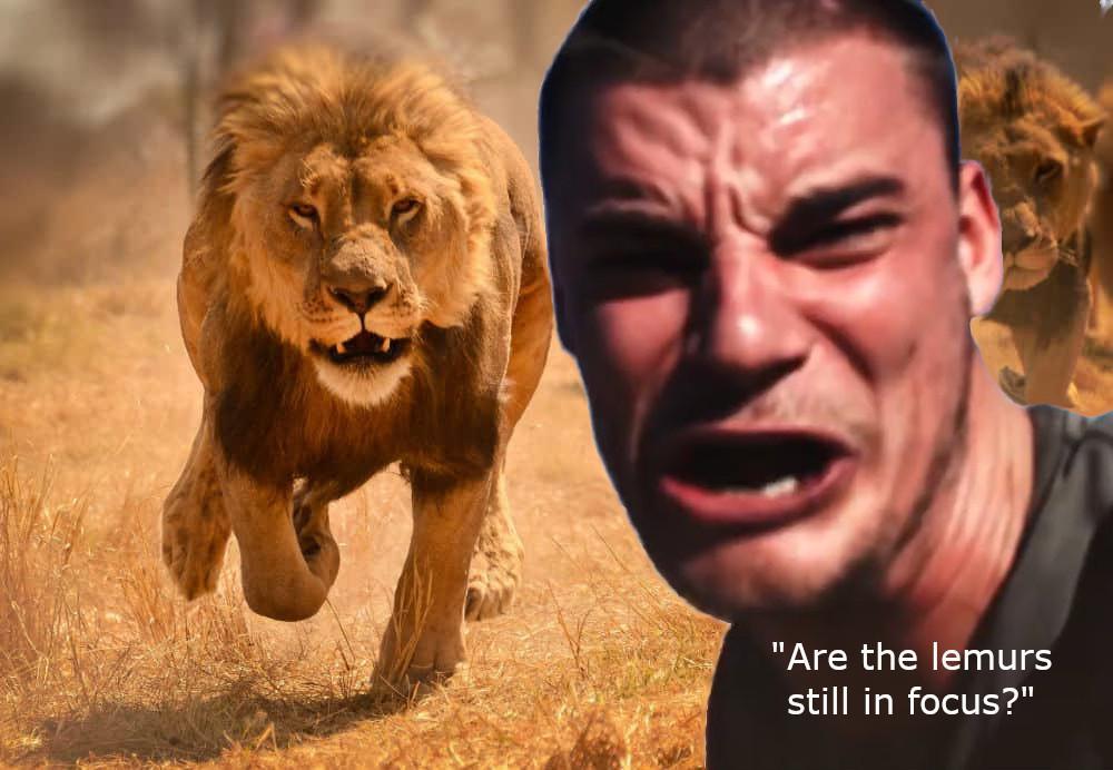 Life Tip #37: Don't lose your glasses in Africa. | Scrolller Life Tip #37: Don't lose your glasses in Africa. | Scrolller