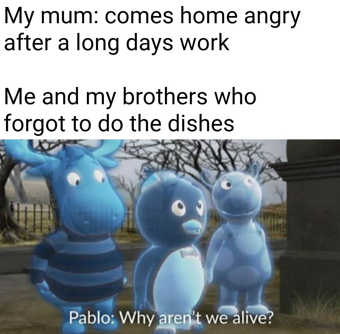 Life was fun while it lasted | Scrolller