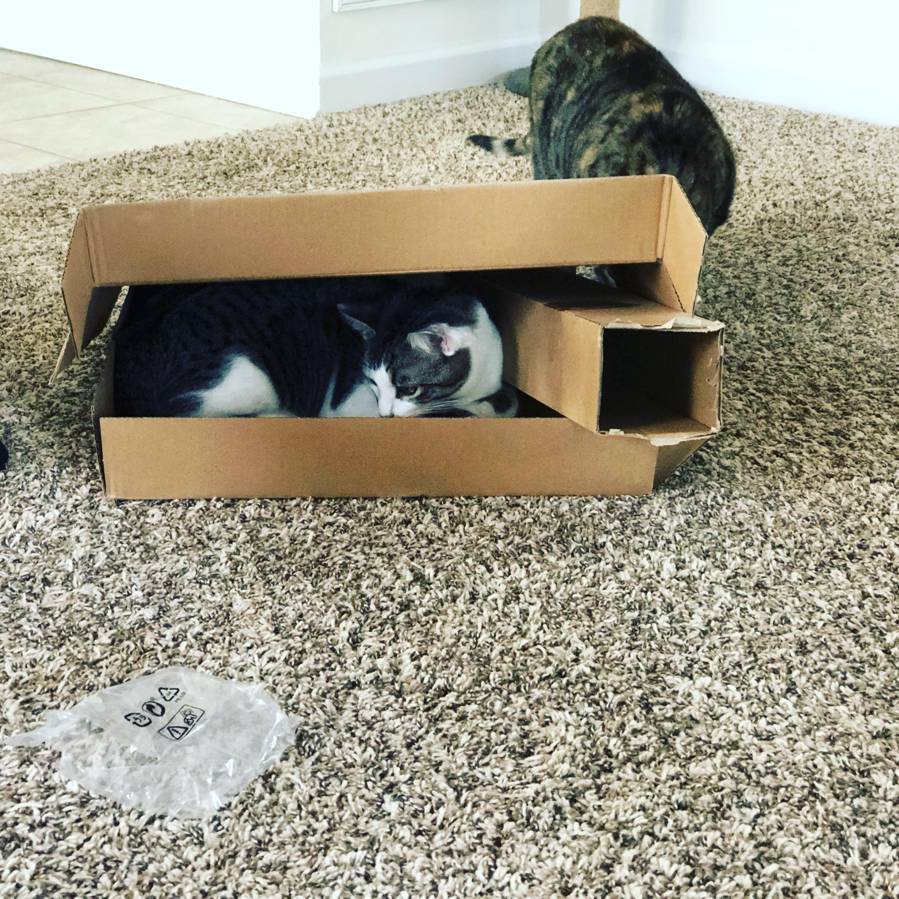 Like a moth to a flame. | Scrolller