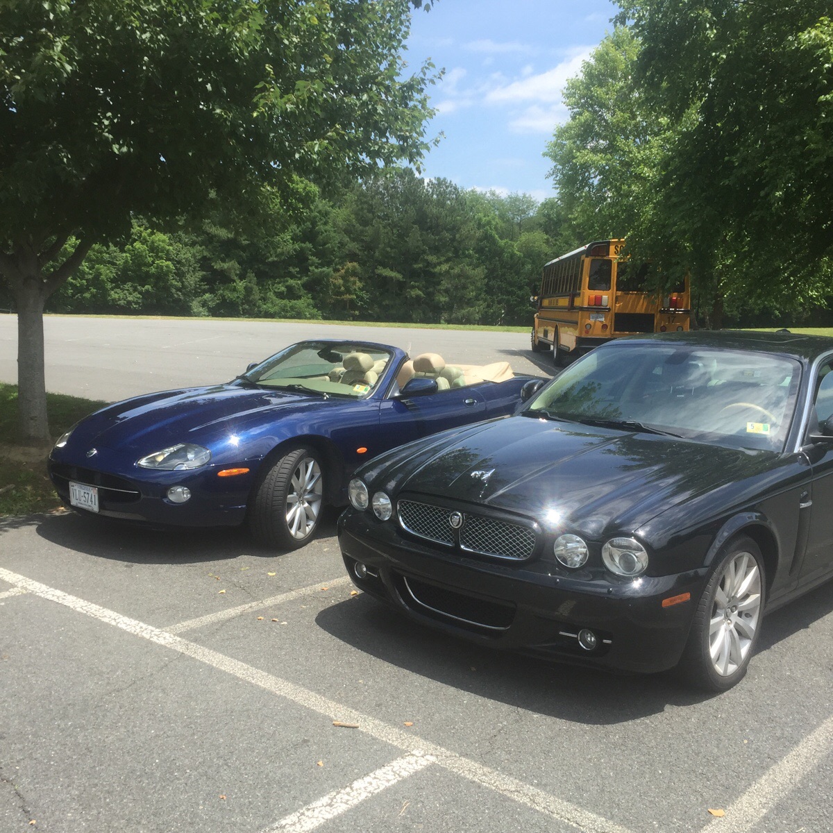 Like father, like son | Scrolller