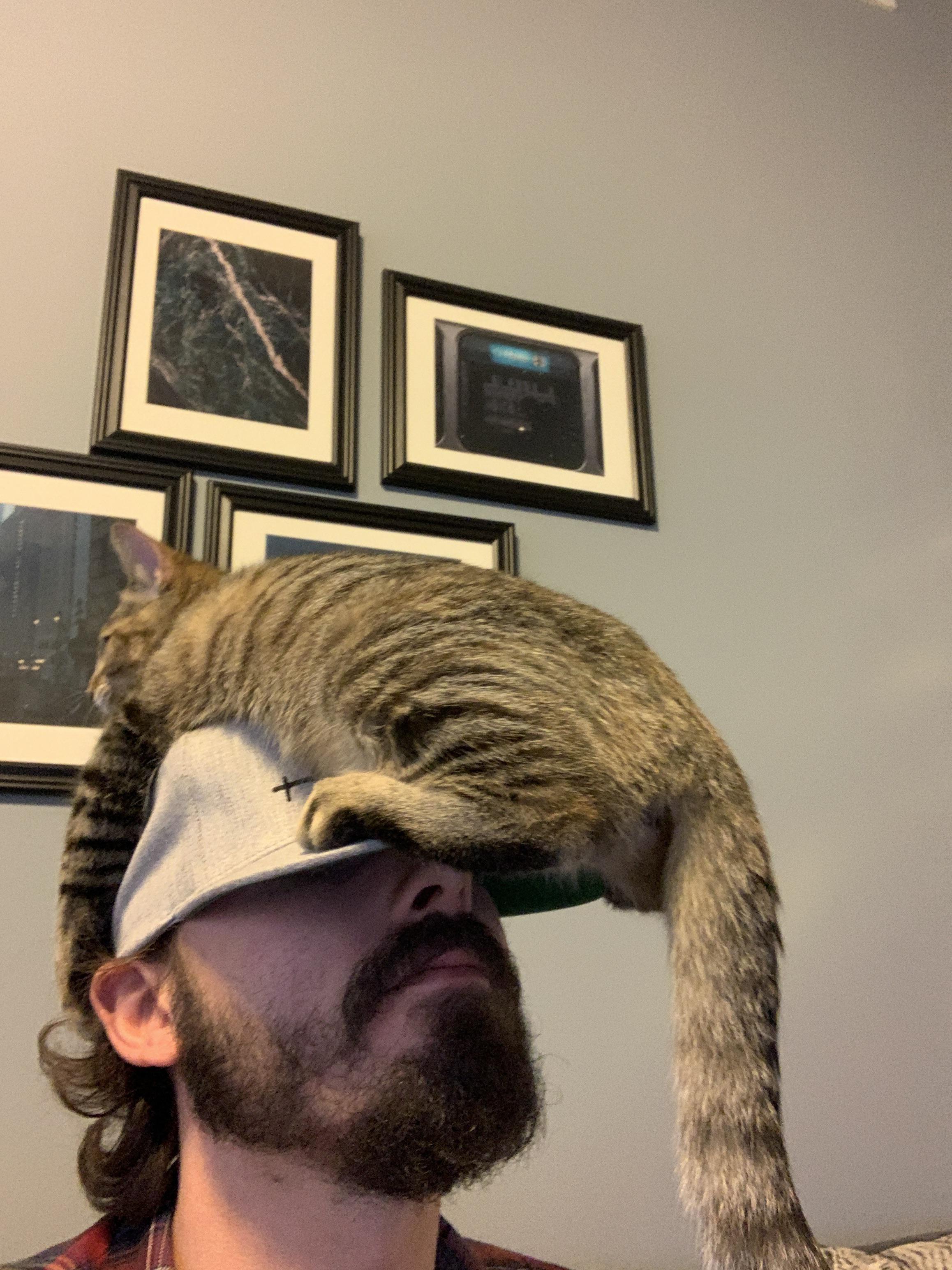 Like why? | Scrolller