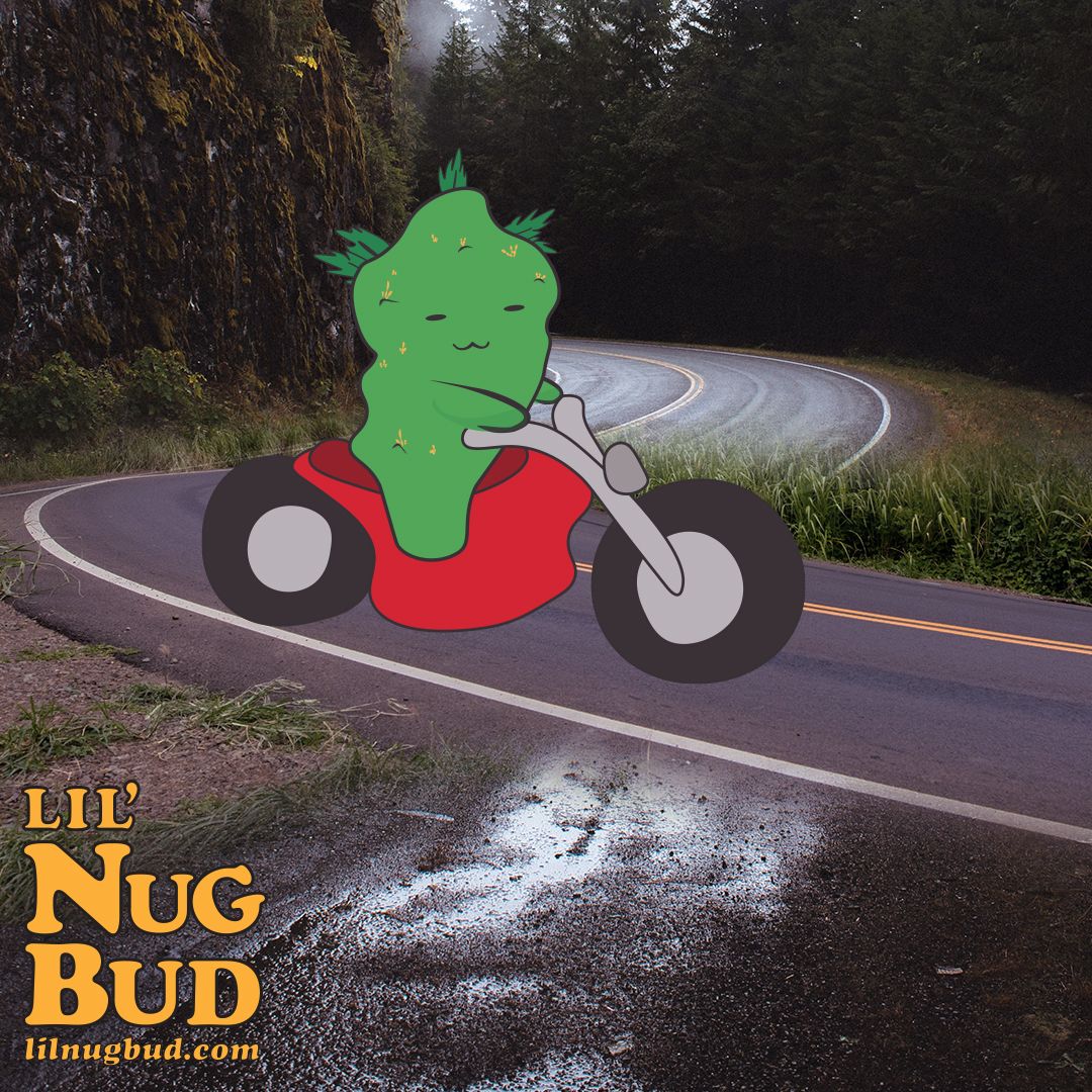 Lil' Nug Bud Hits the Open Road | Scrolller