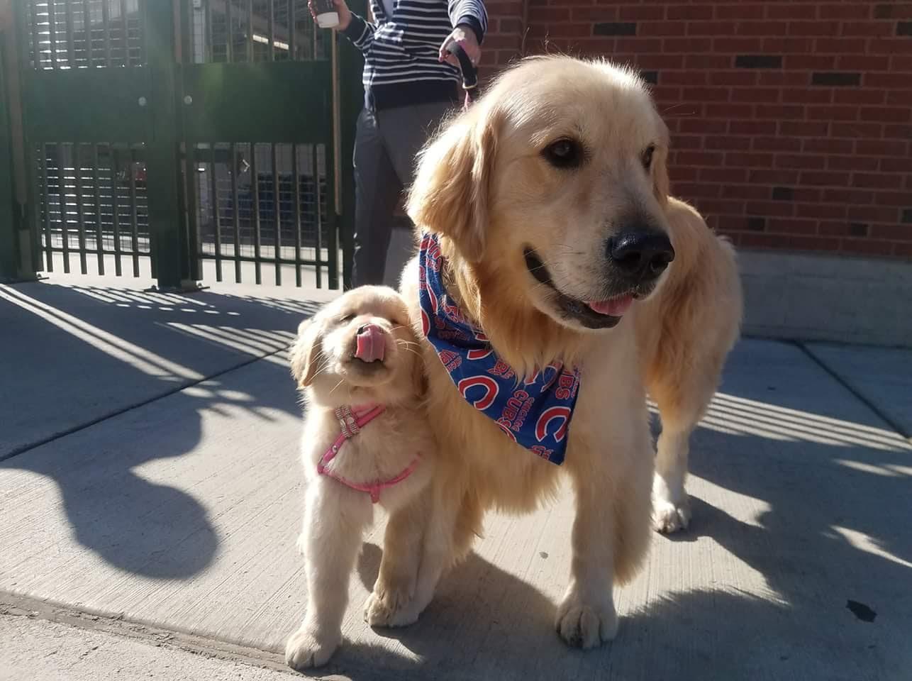 Lil nugget hanging out with his uncle. | Scrolller