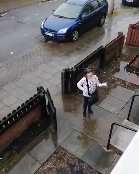 Lily the best dog walker | Scrolller