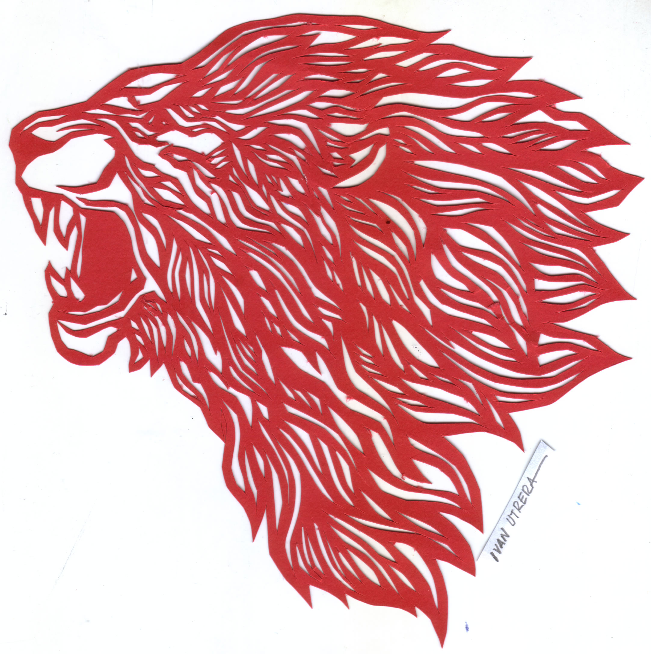 lion | Scrolller